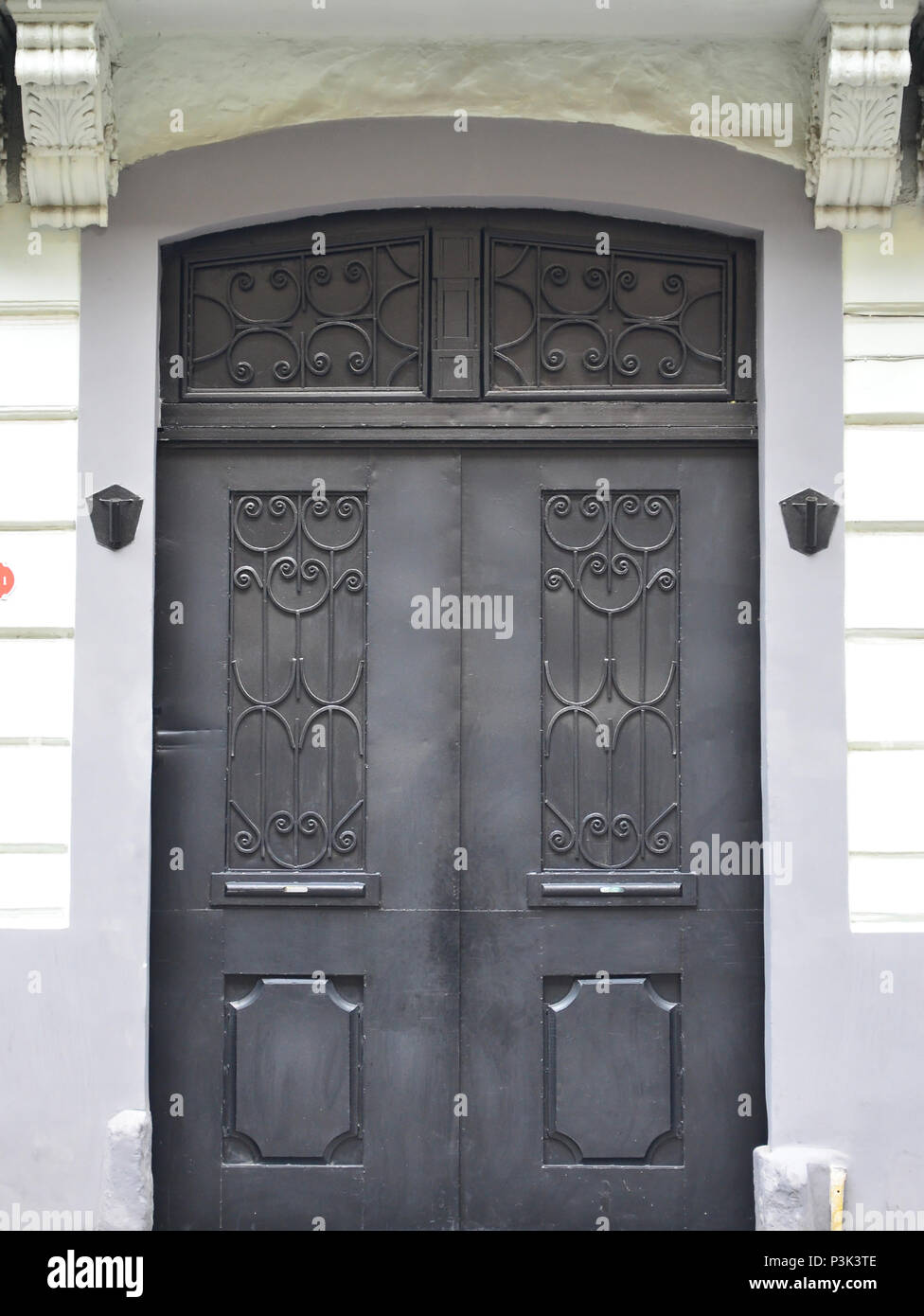 The texture of the modern metal door is black. Outdoor view Stock Photo ...
