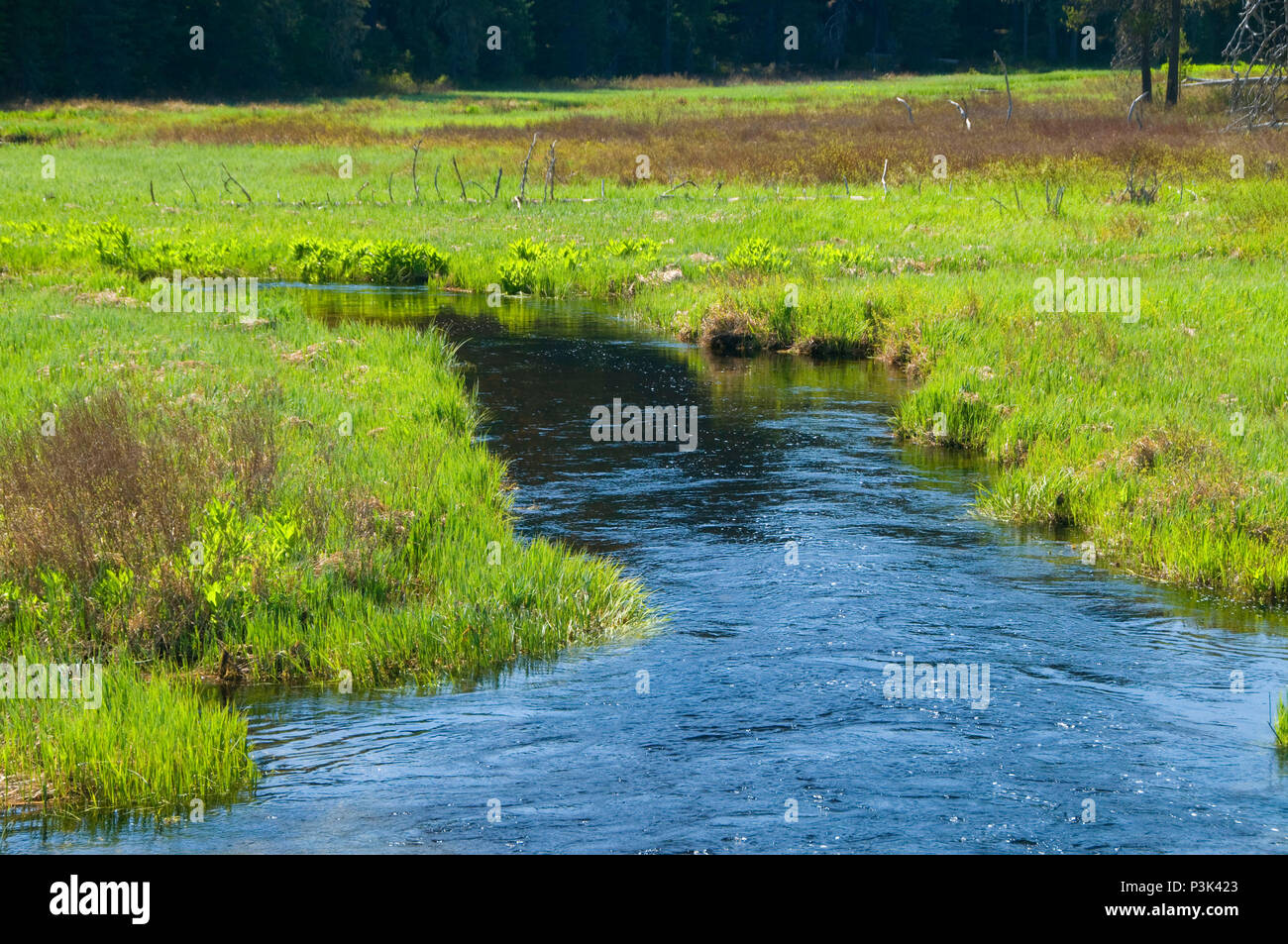 Clackamas lake ranger station hi-res stock photography and images - Alamy