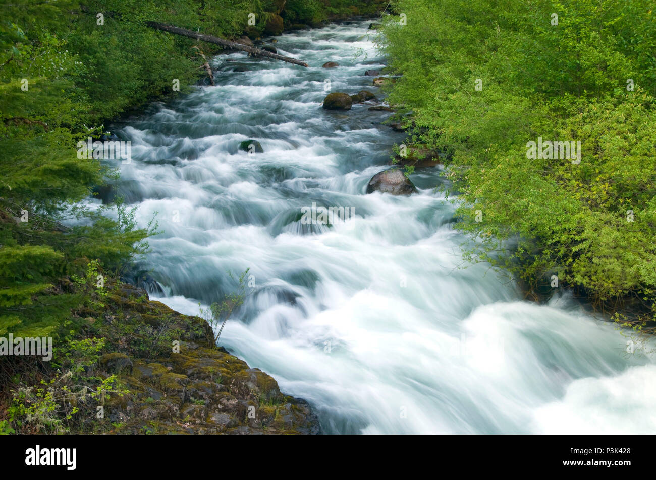 Clackamas wild and scenic river hi-res stock photography and images - Alamy