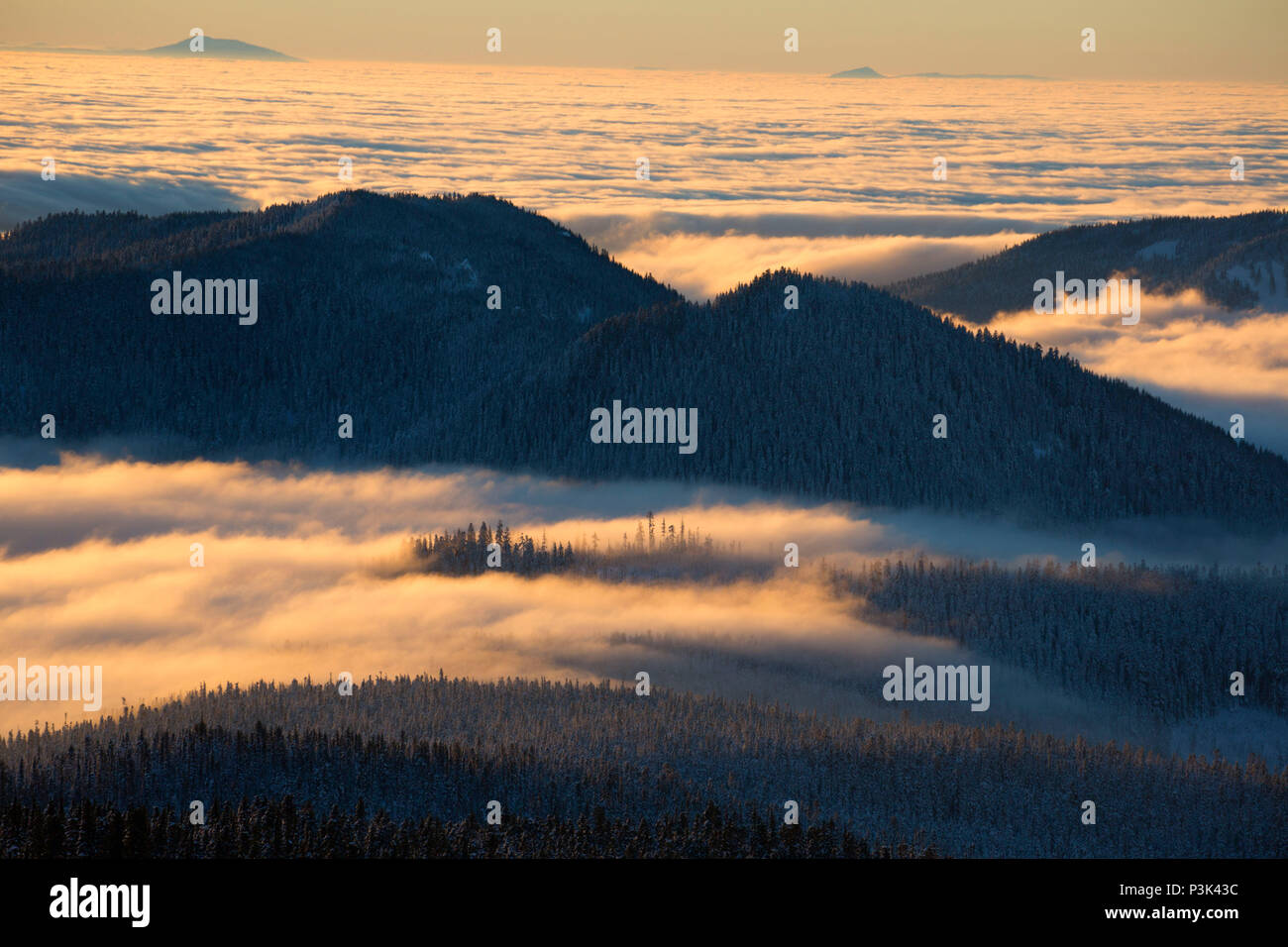 Fog from Timberline, Mt Hood National Forest, Oregon Stock Photo - Alamy