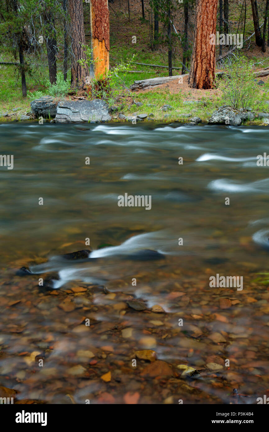 Malheur national forest hi-res stock photography and images - Alamy