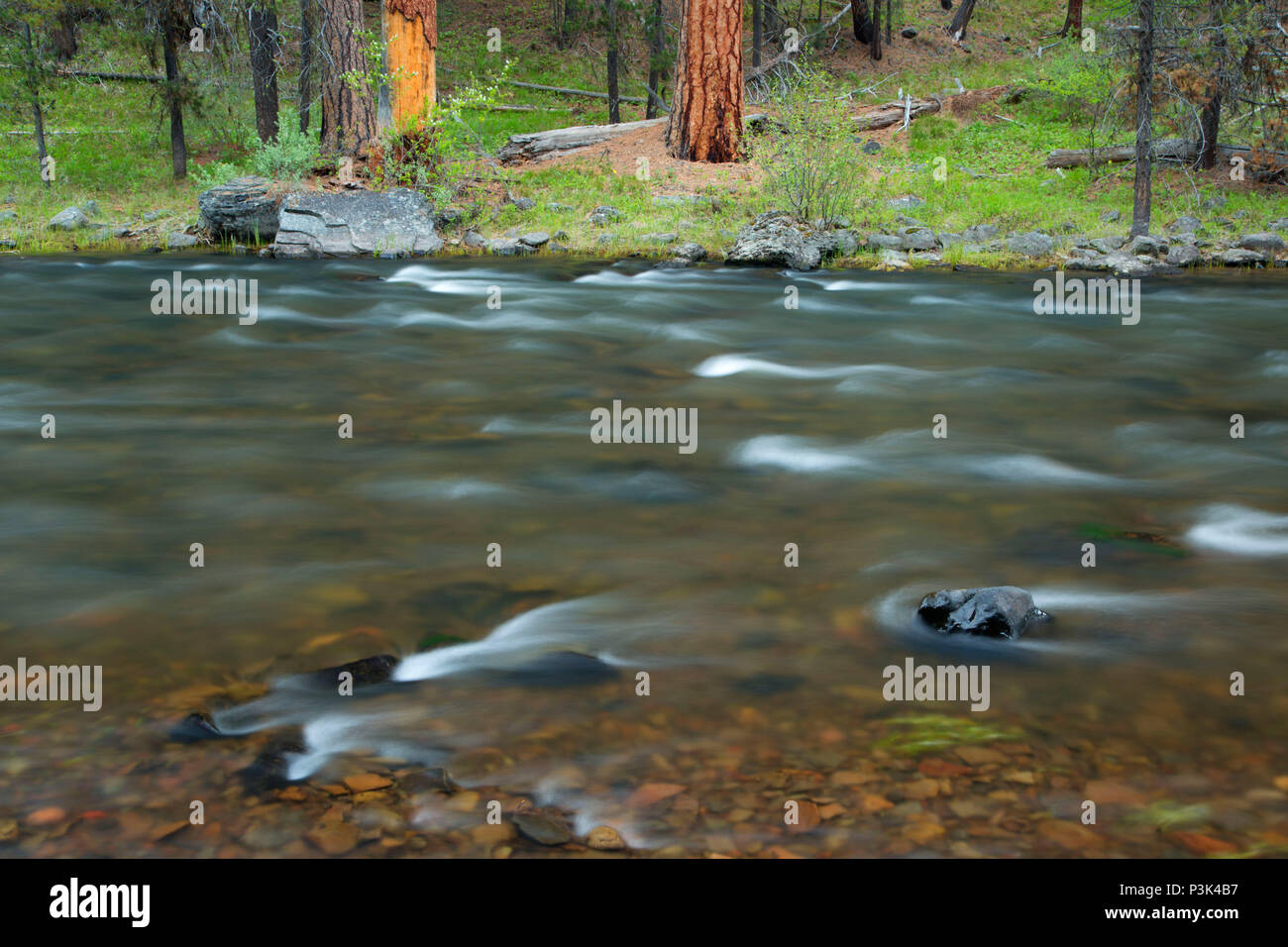 Malheur national forest hi-res stock photography and images - Alamy