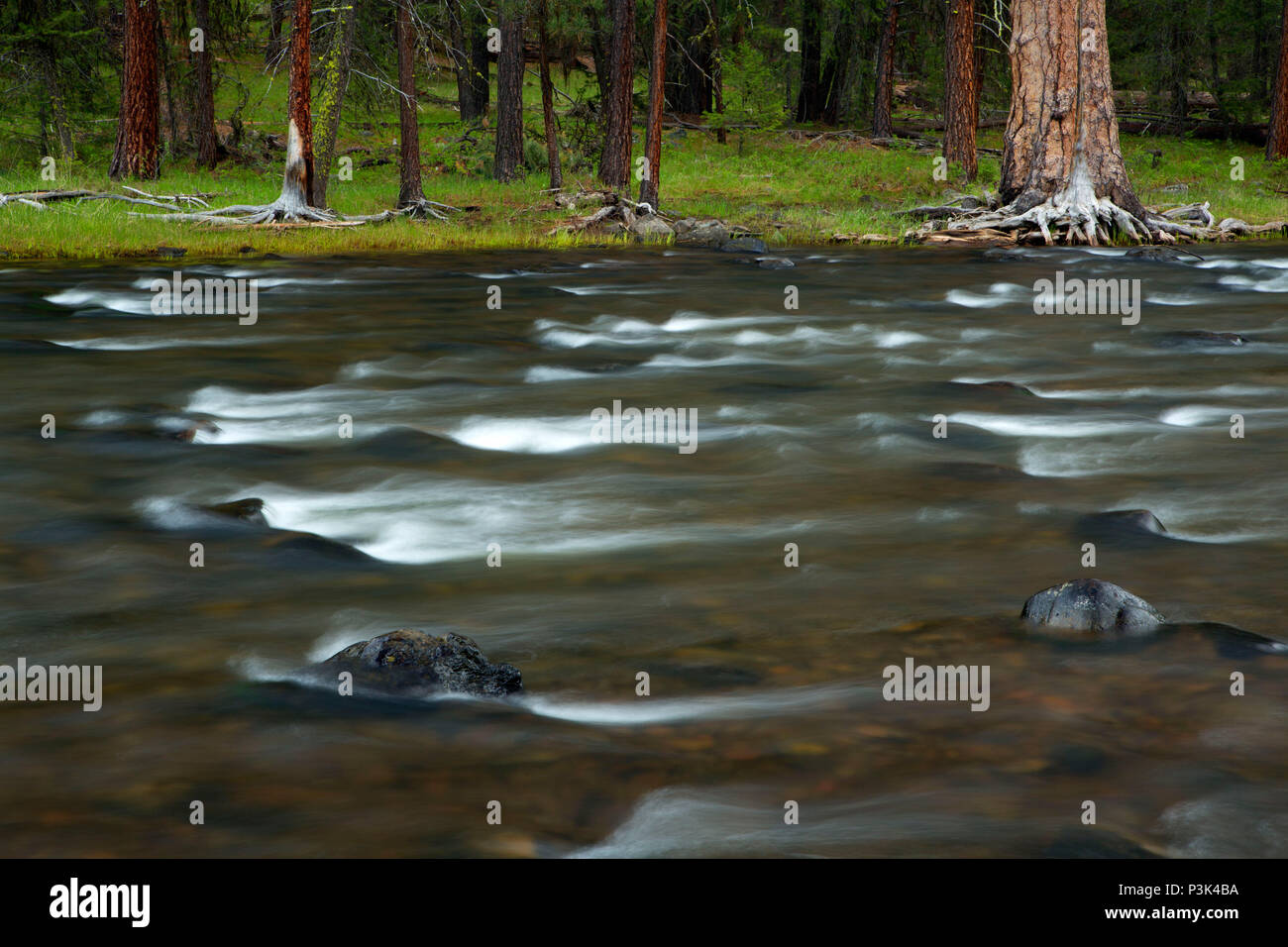 Malheur national forest hi-res stock photography and images - Alamy