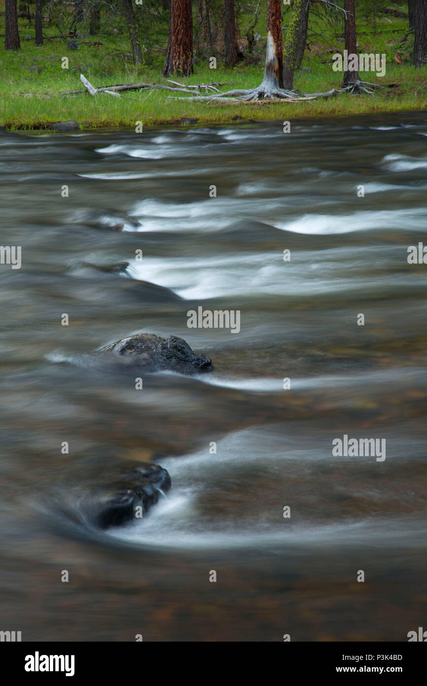 Malheur national forest hi-res stock photography and images - Alamy