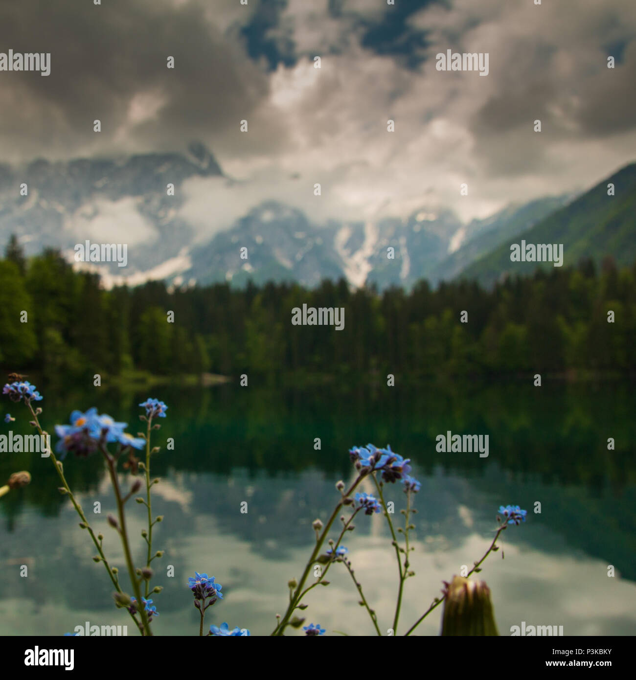 Time holiday hi-res stock photography and images - Alamy