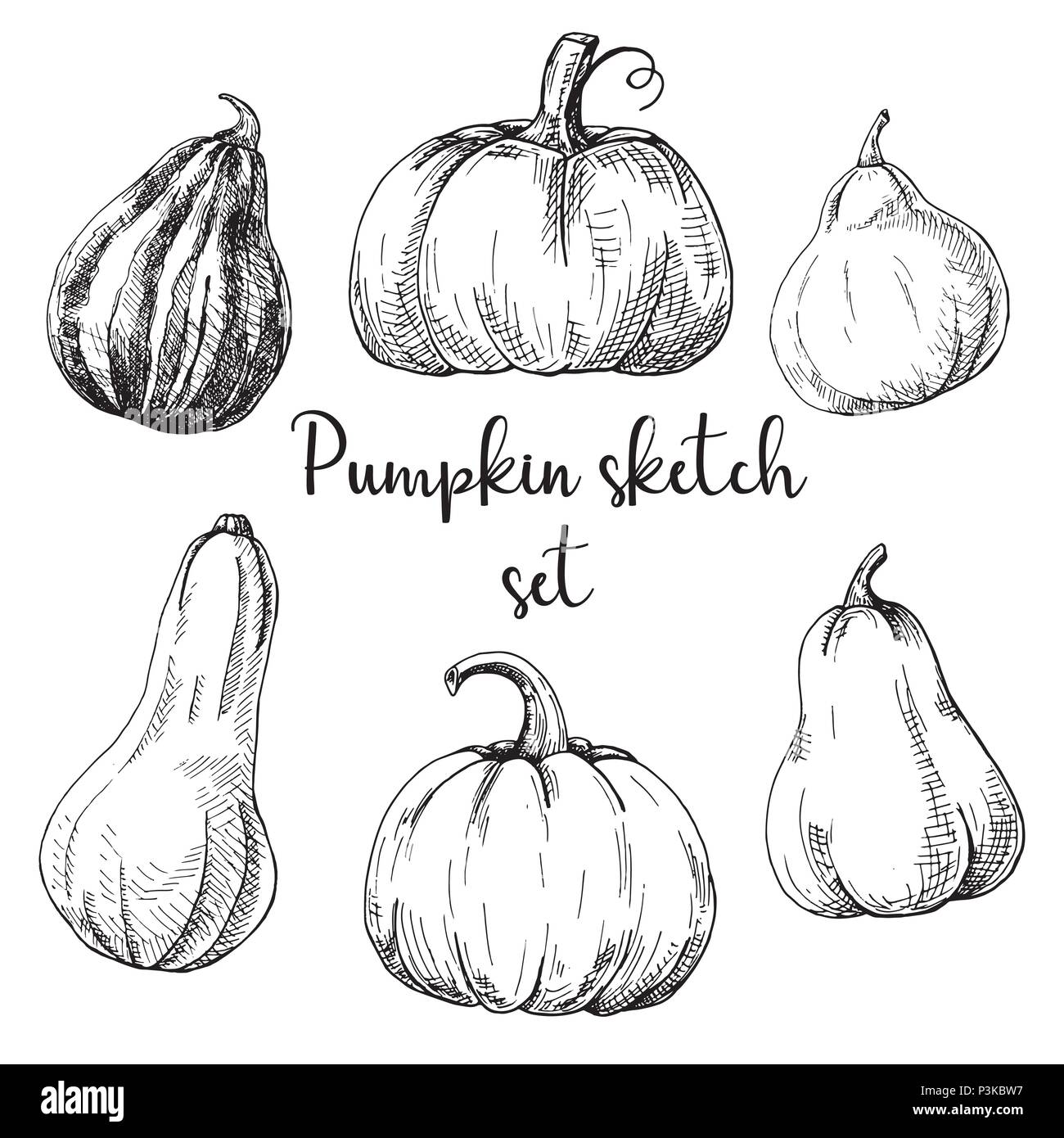 Hand drawn pumpkin set isolated on white background. Vector ...
