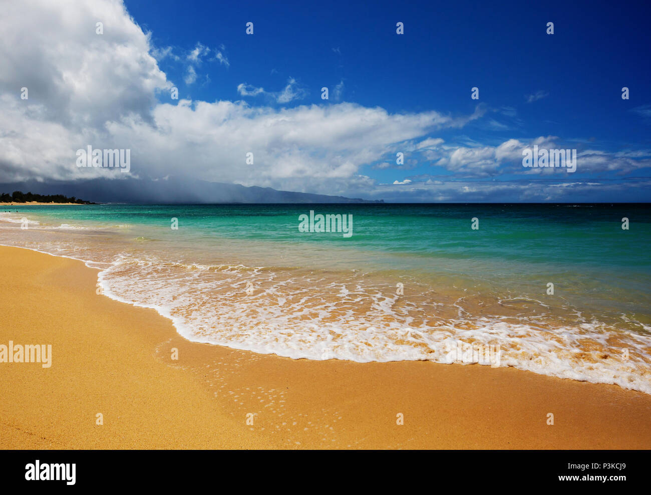 Amazing hawaiian beach Stock Photo - Alamy