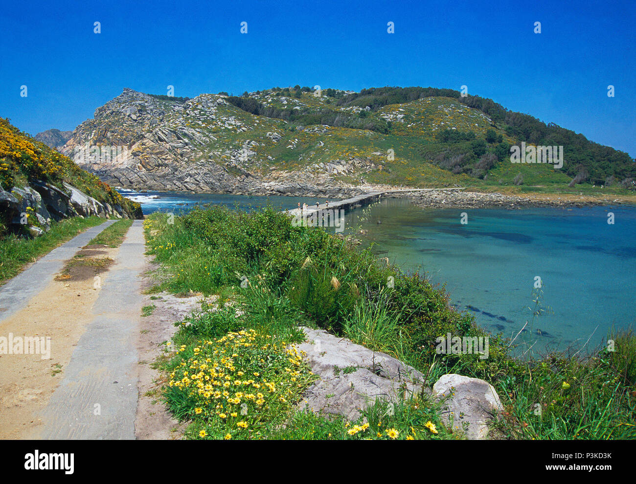 Path and lagoon. Cies Islands, Atlantic Islands National Park ...