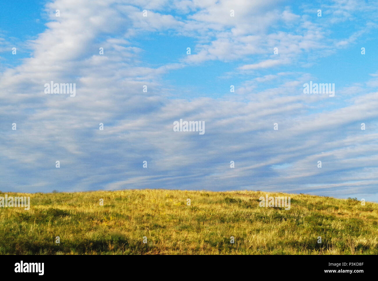 Rural landscape. Countryside. Summer background Stock Photo - Alamy