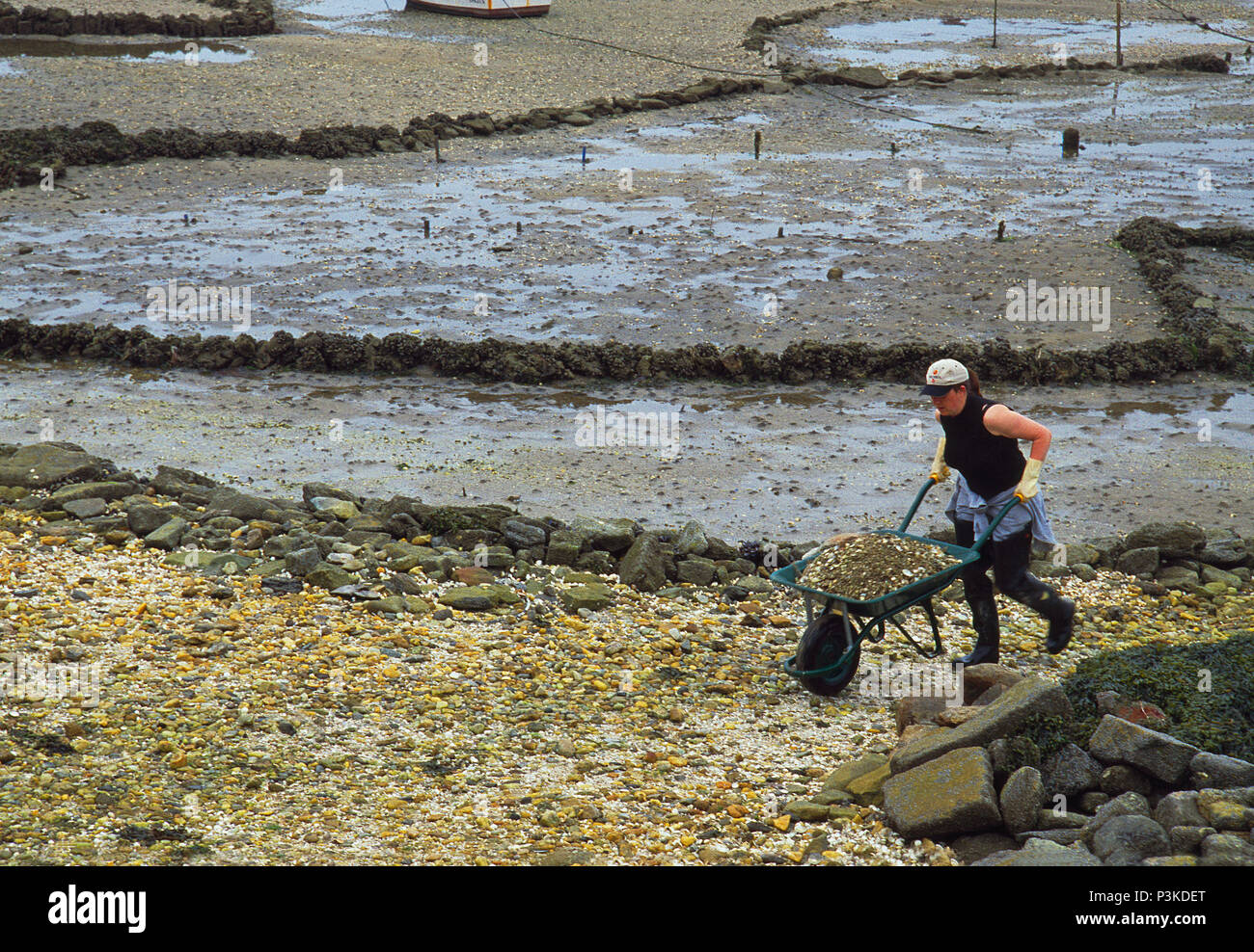 Mariscando hi-res stock photography and images - Alamy