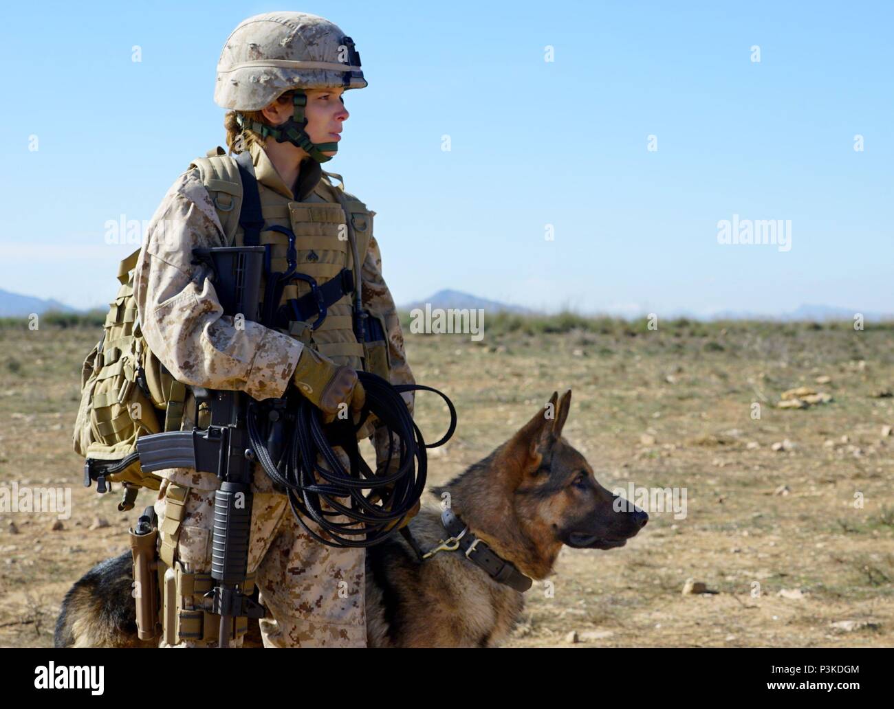 Megan leavey hi-res stock photography and images - Alamy