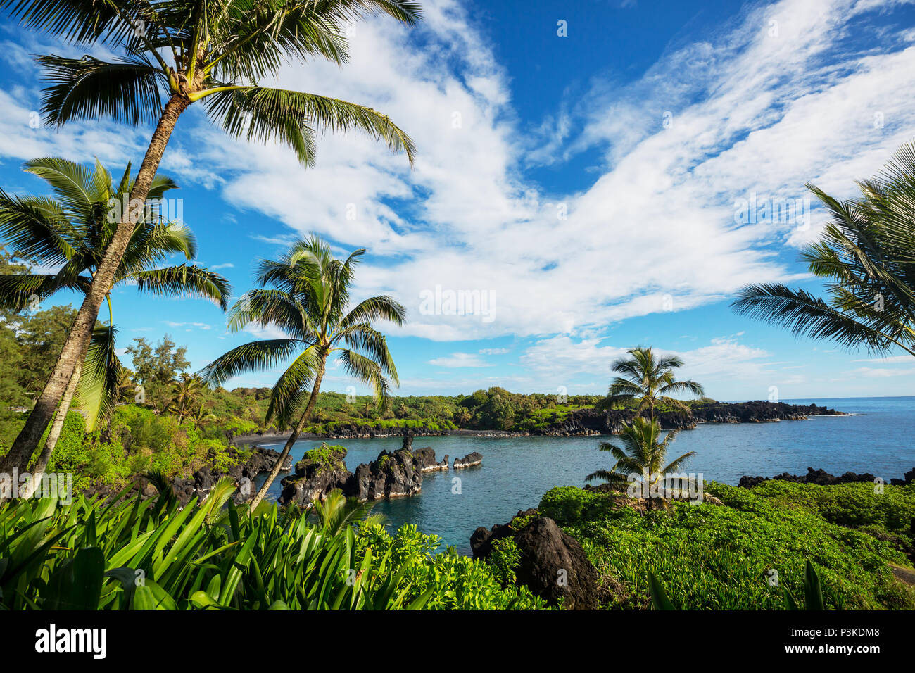 Beautiful tropical landscapes on Maui island, Hawaii Stock Photo - Alamy