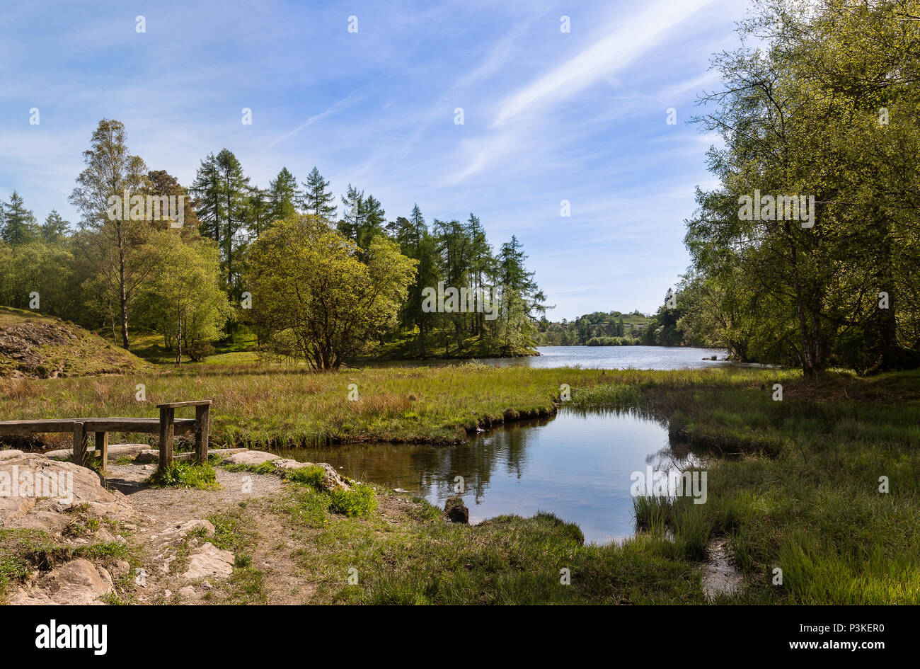 Tarn Hows in spring, Ambleside, the Lake District National Park Stock ...