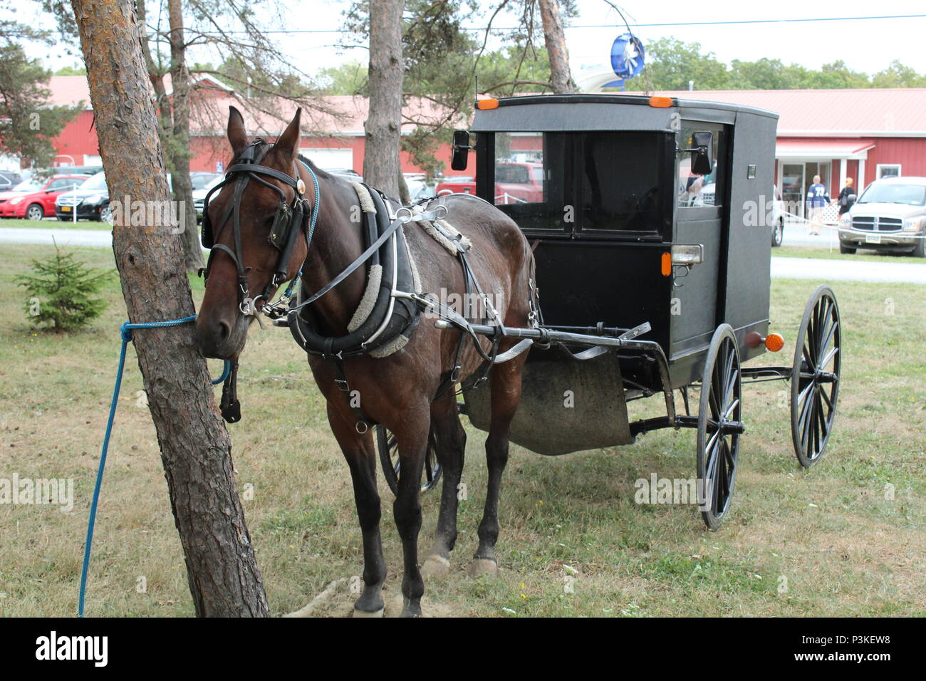 Horse and Buggy at The Windmill in Penn Yan, New York Stock Photo - Alamy