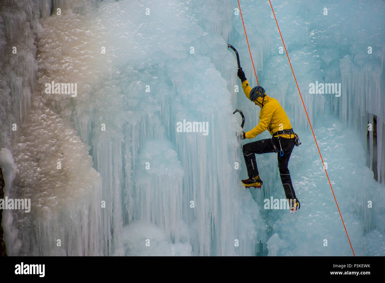 Magnuson park hi-res stock photography and images - Alamy