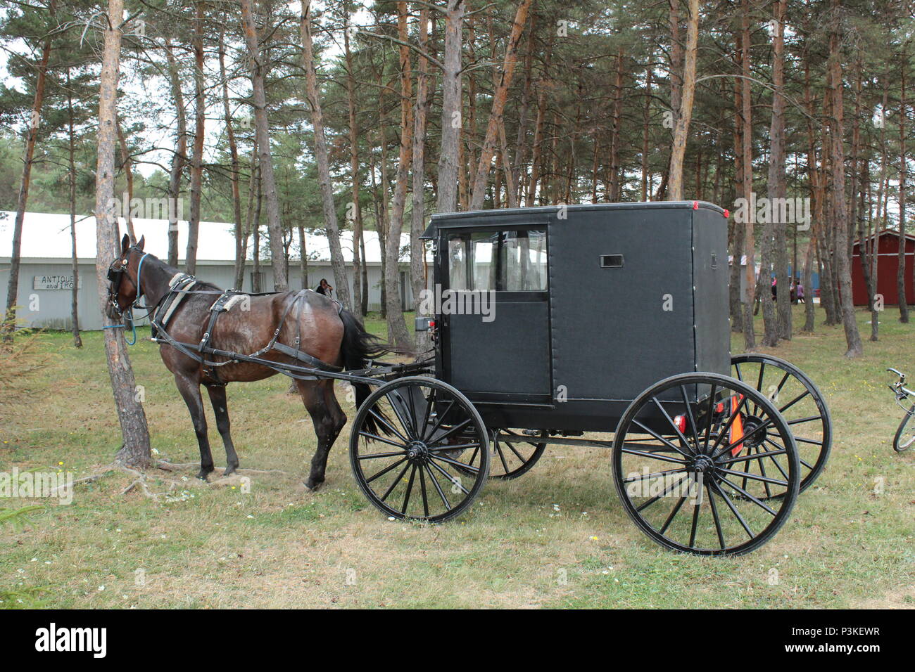 Horse and Buggy at The Windmill in Penn Yan, New York Stock Photo - Alamy