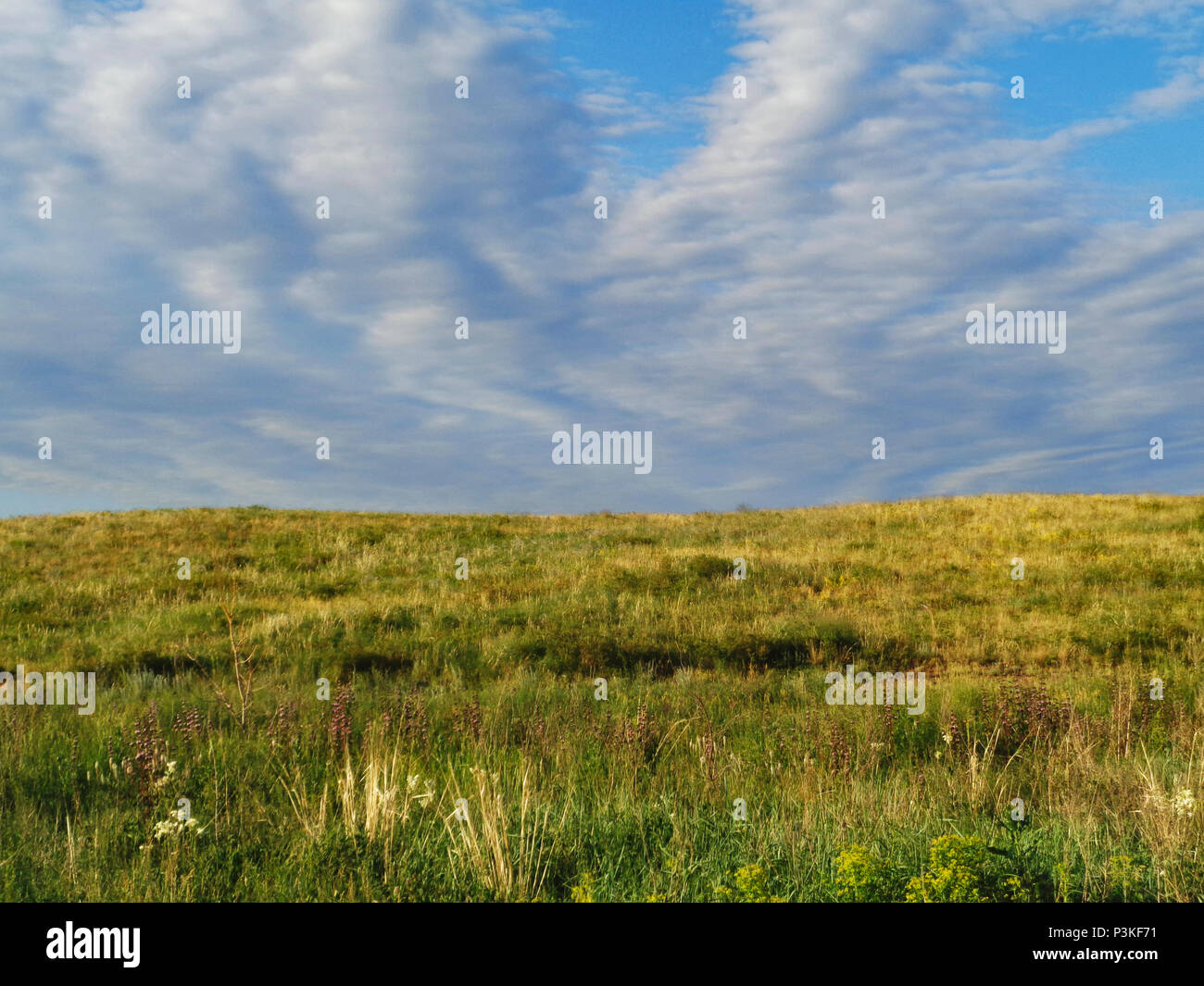 Beautiful landscape.Natural scenery. Summer background. Steppe horizon ...