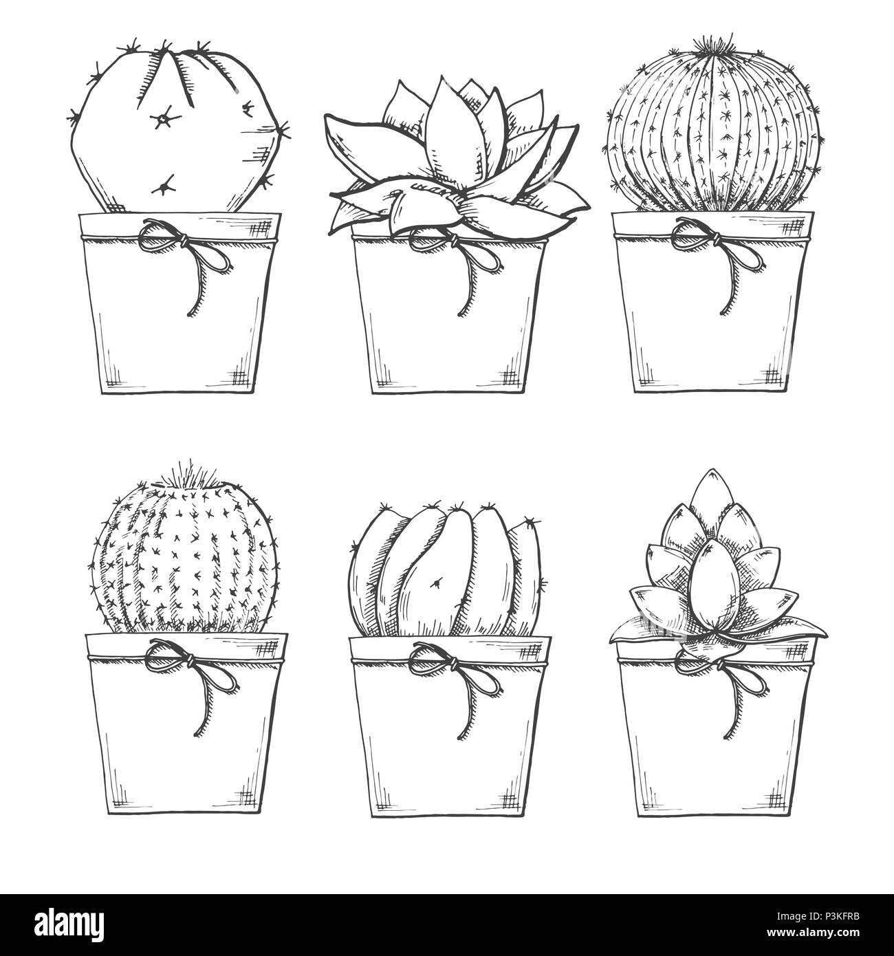 Sketch of succulents in pots. Vector illustration of a sketch style ...
