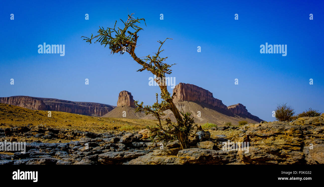 Desert outcrop hi-res stock photography and images - Alamy