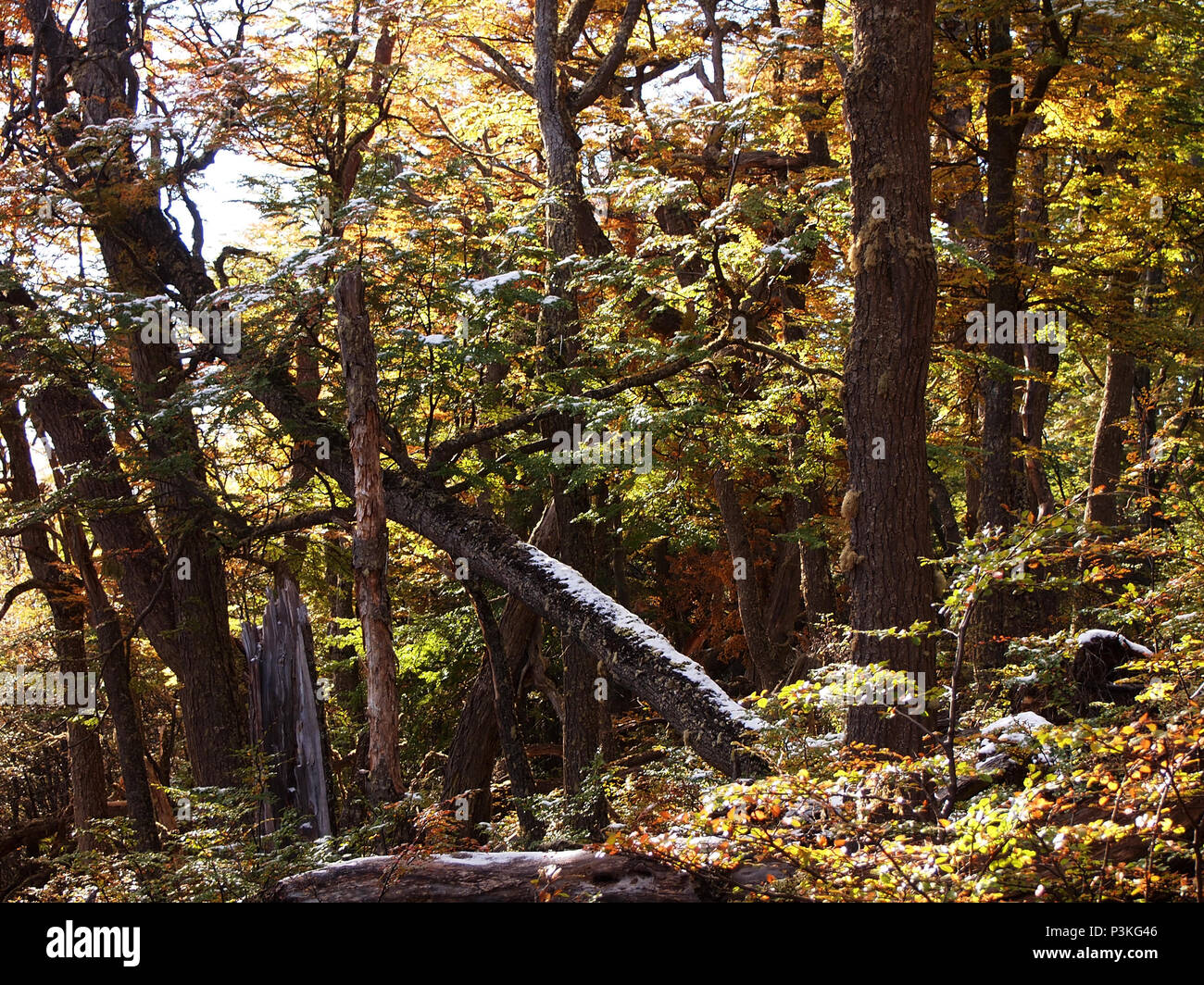Isla de bandera hi-res stock photography and images - Alamy