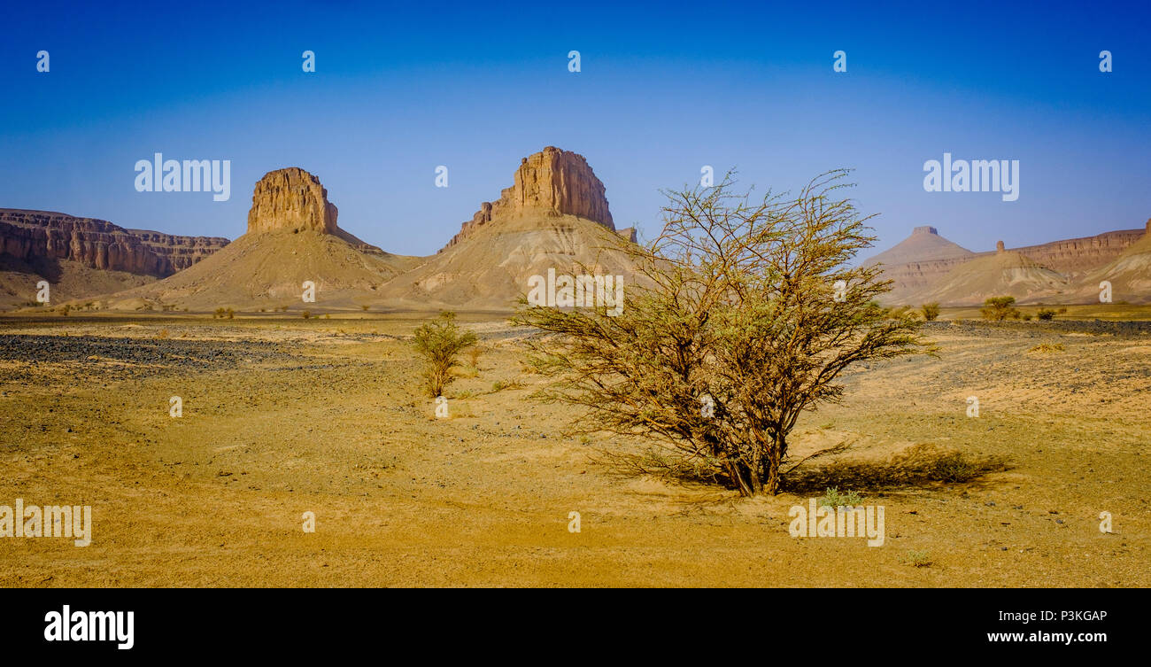 The Moroccan desert near Foum Zguid in the south of Morocco Stock Photo ...