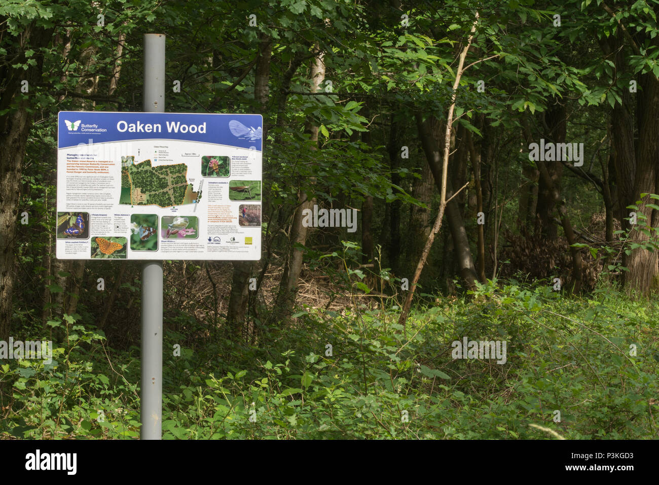 British butterfly conservation hi-res stock photography and images - Alamy