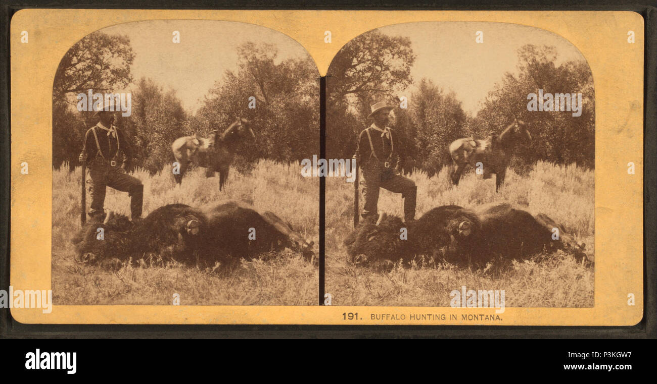 American hunting 1800s hi-res stock photography and images - Alamy