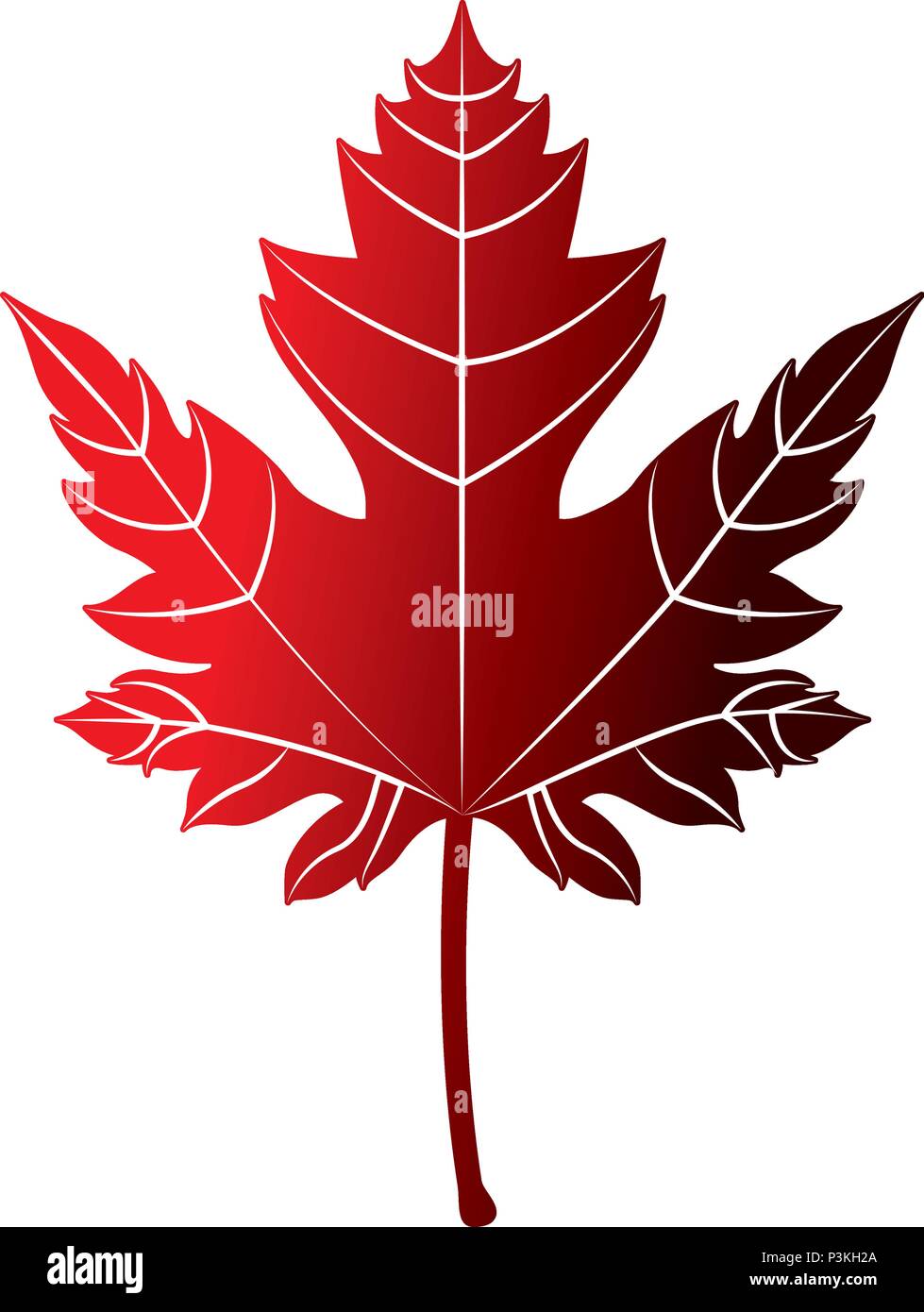 red maple leaf canadian symbol vector illustration neon red Stock Vector Image & Art - Alamy