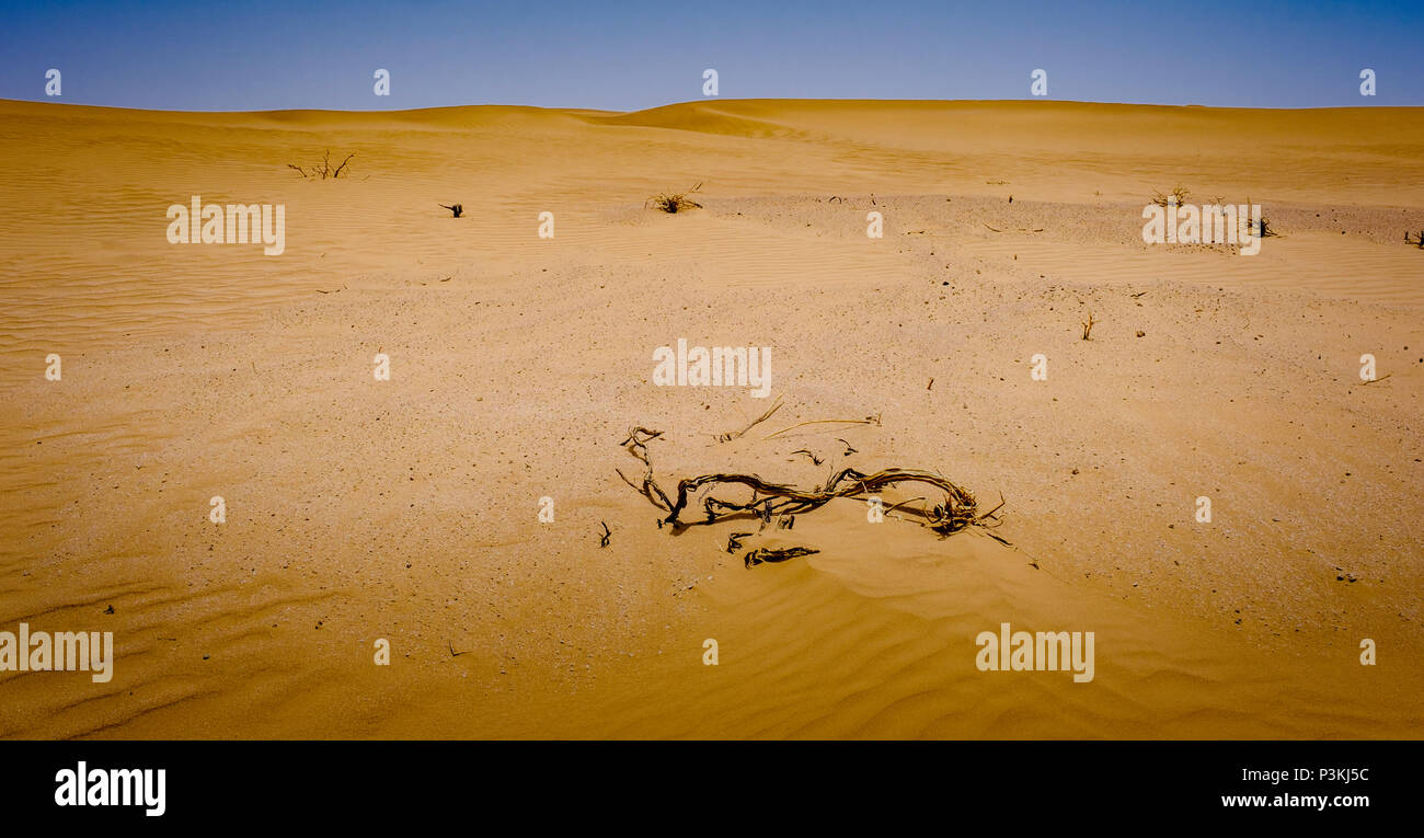 Ouid draa hi-res stock photography and images - Alamy