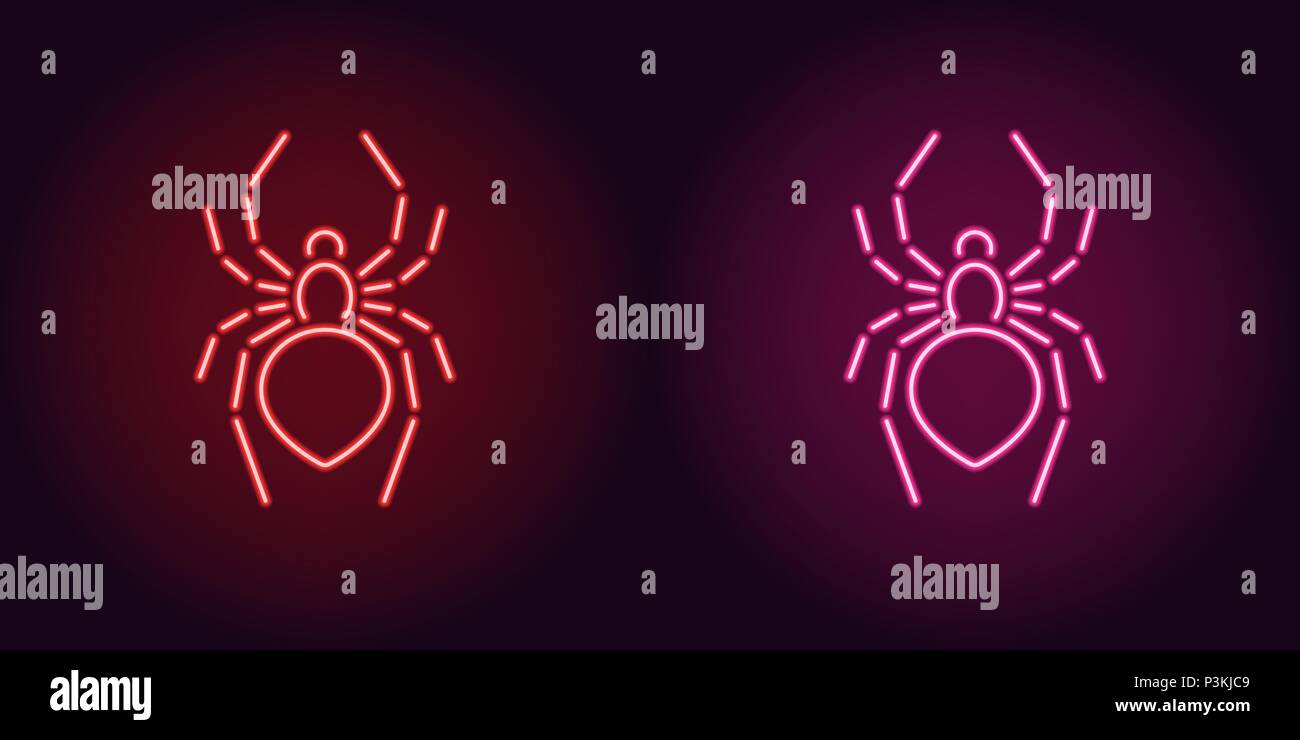Neon icon of Red and Pink Spider. Vector illustration of Neon Spider ...