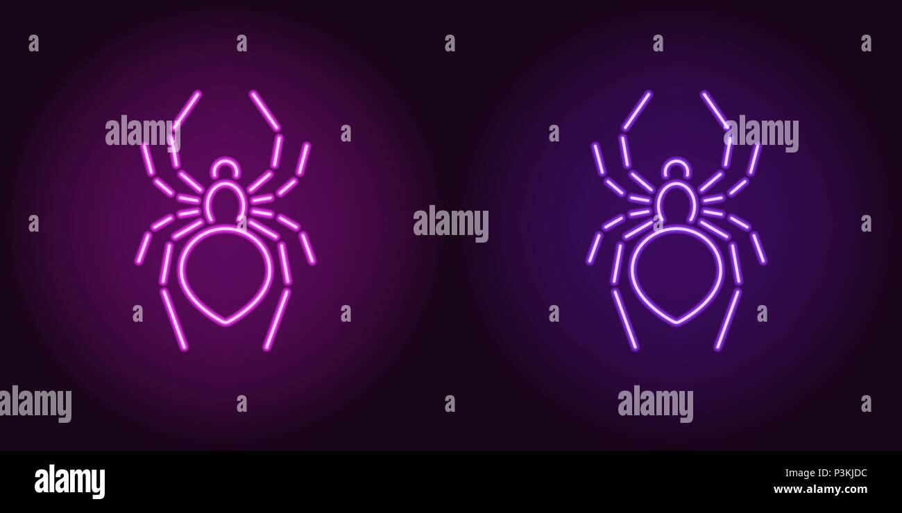 Neon icon of Purple and Violet Spider. Vector illustration of Neon ...
