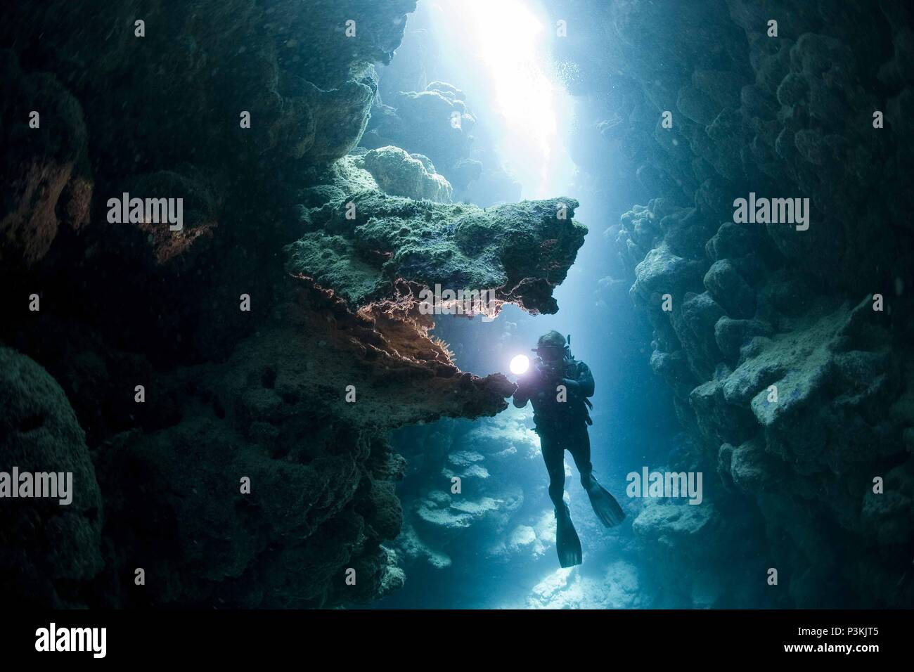 Original Film Title: OCEANS. English Title: OCEANS. Film Director ...
