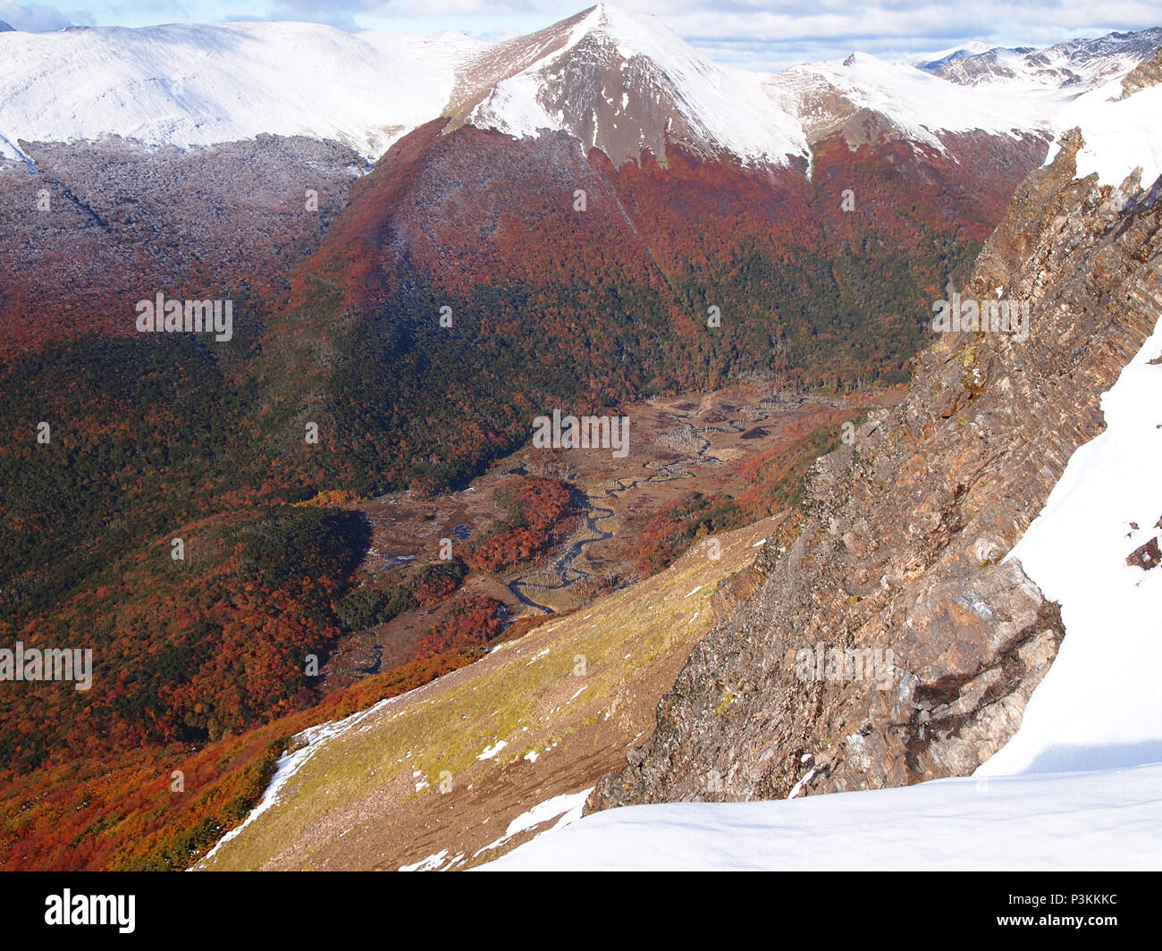 Magellanic subpolar forests hi-res stock photography and images - Alamy