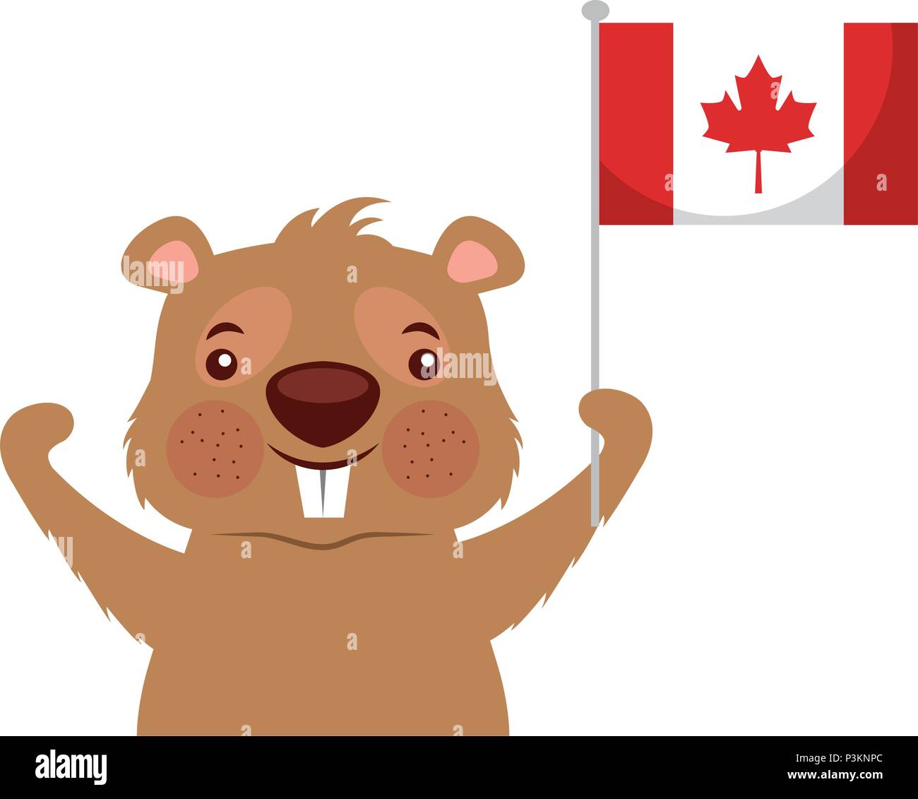 Species of maple Stock Vector Images - Alamy