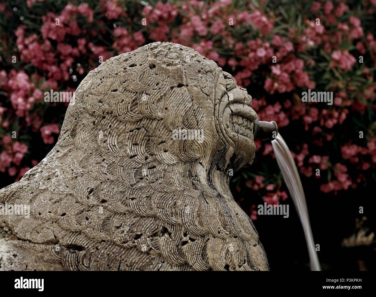 Leon the maristan hi-res stock photography and images - Alamy
