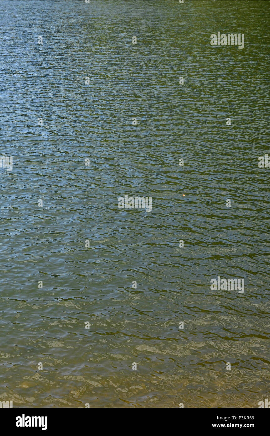 Texture of contaminated river water. The consequences of pollution ...