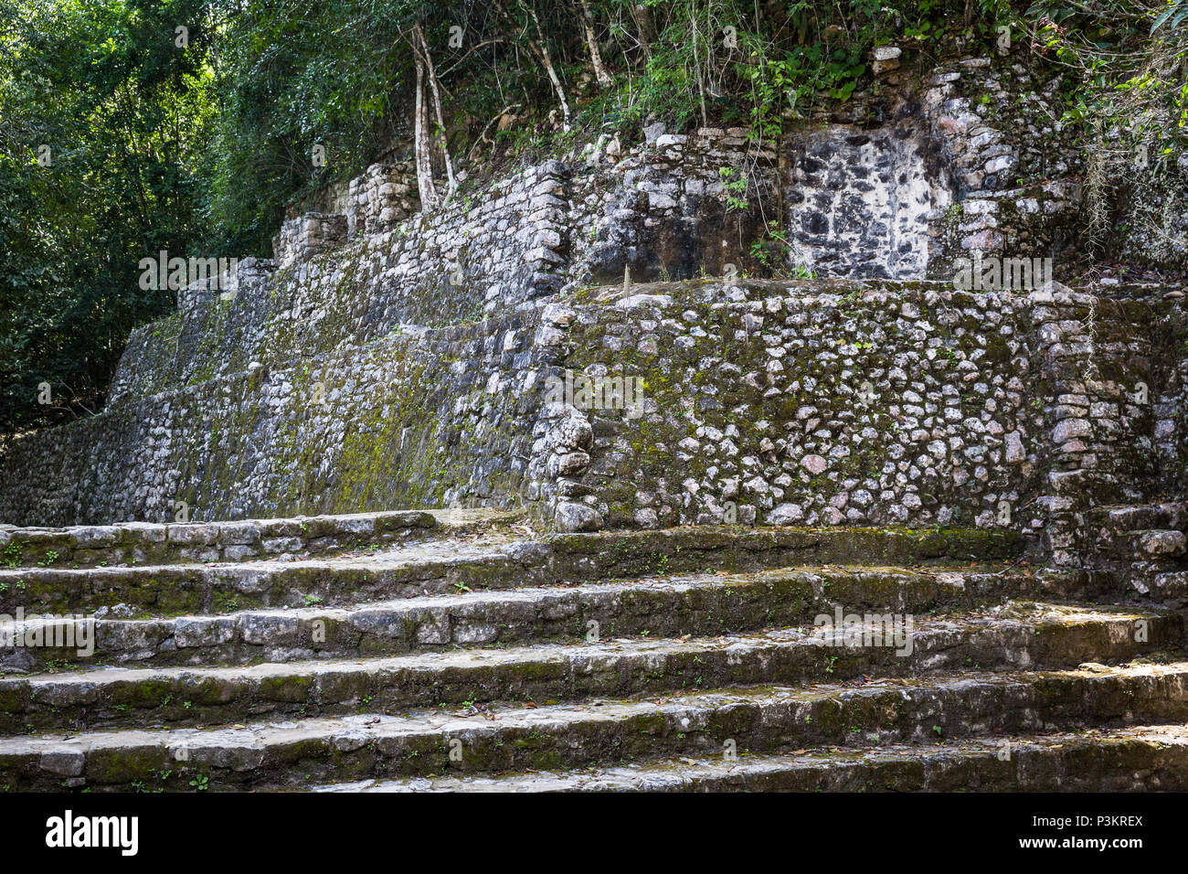 Coba. Ancient city of Mayan civilization Stock Photo - Alamy