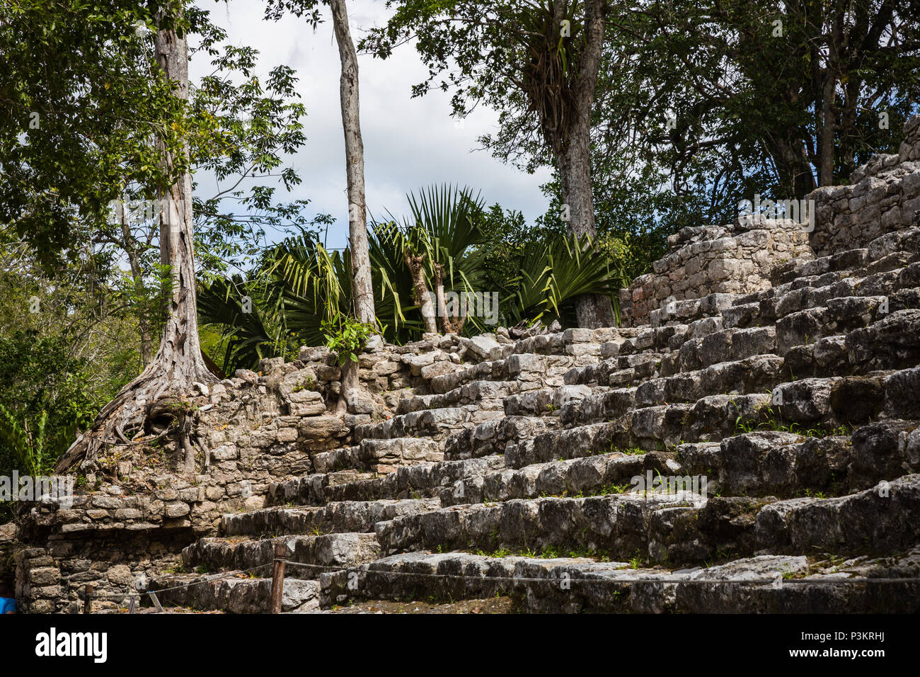 Coba. Ancient city of Mayan civilization Stock Photo - Alamy