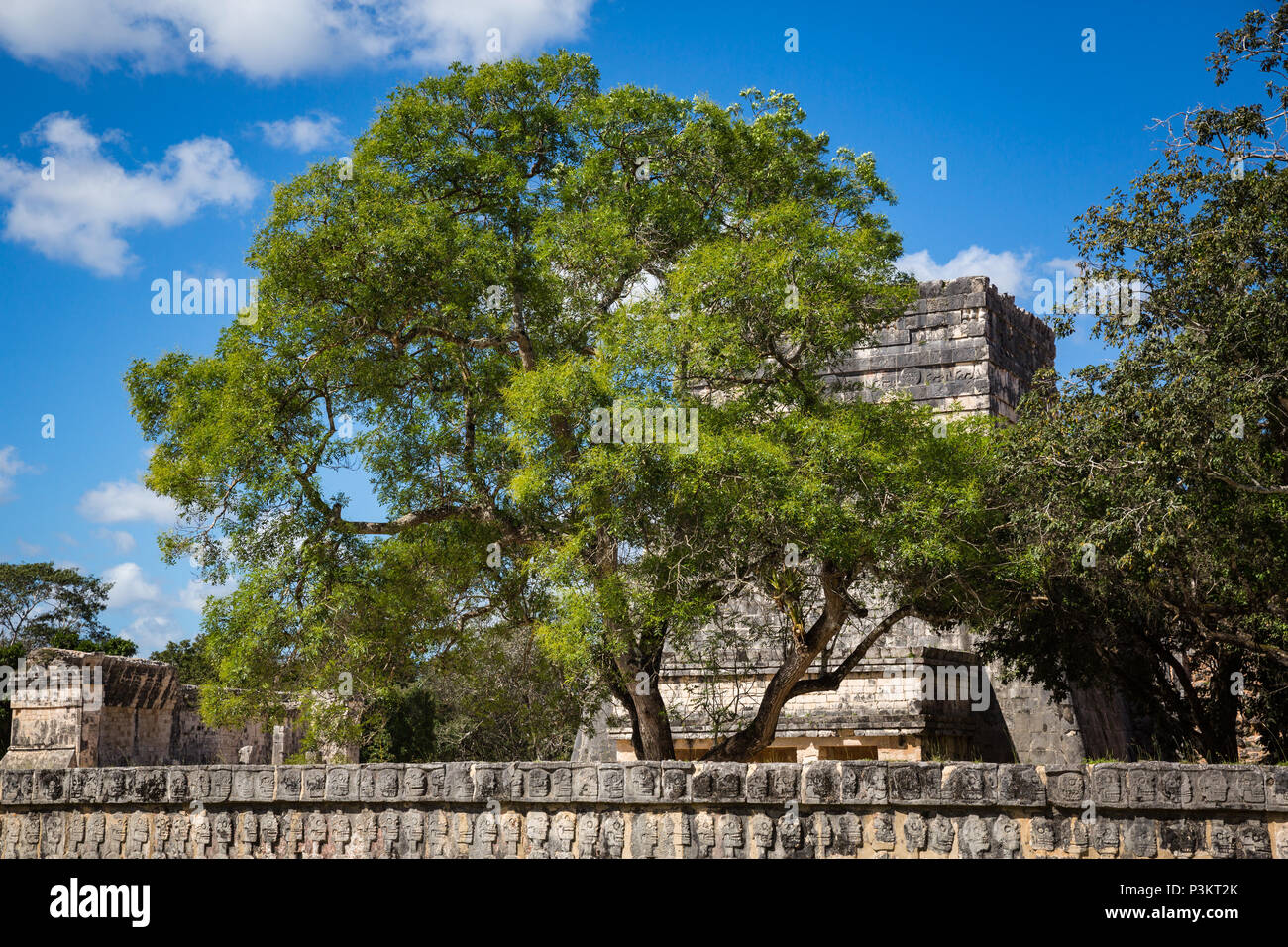Chichen Itza. Ancient city of Mayan civilization Stock Photo - Alamy