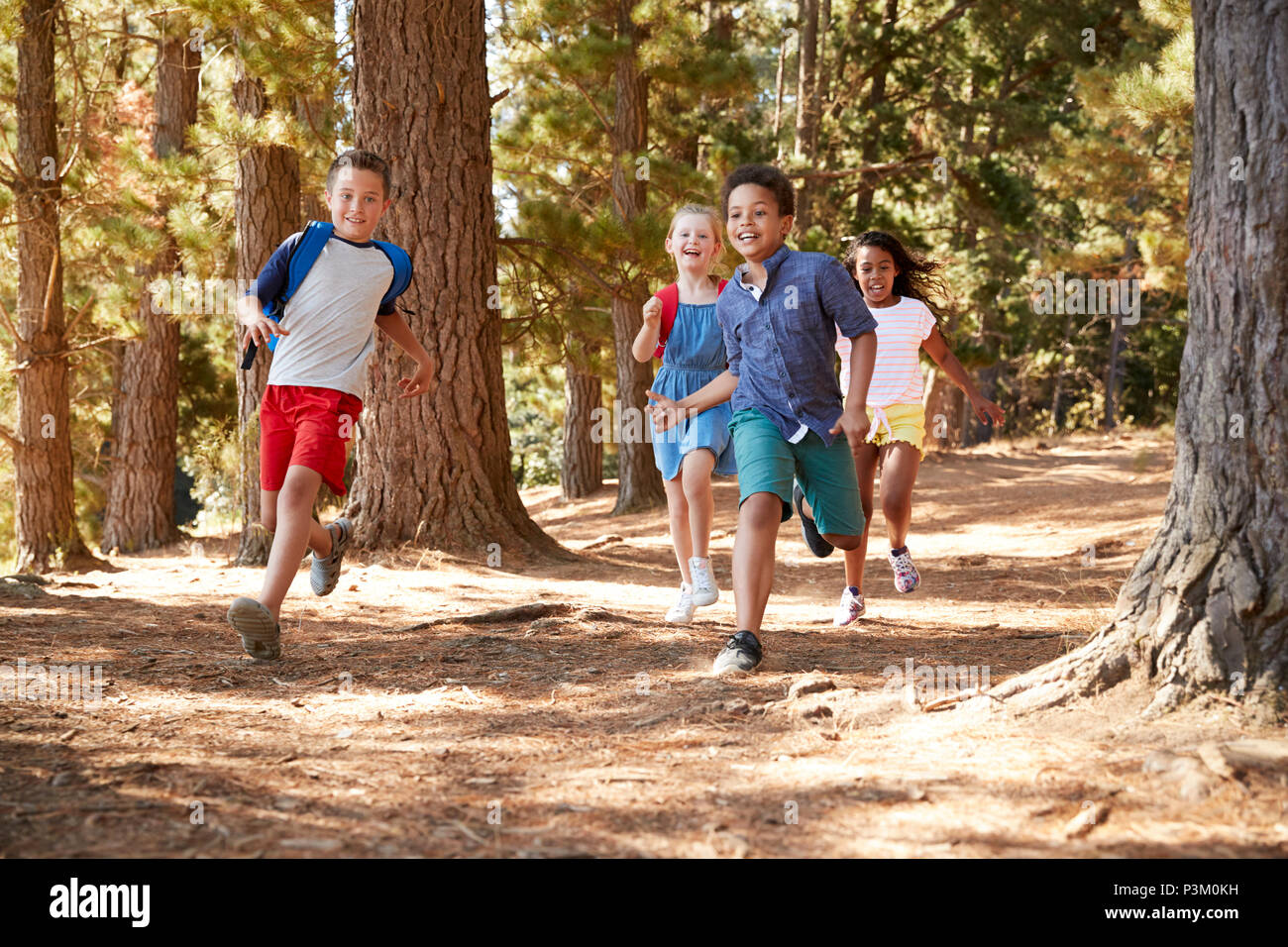 Children Running Along Forest Trail On Hiking Adventure Stock Photo - Alamy