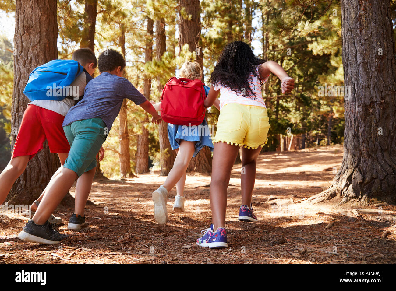 Children Running Along Forest Trail On Hiking Adventure Stock Photo - Alamy