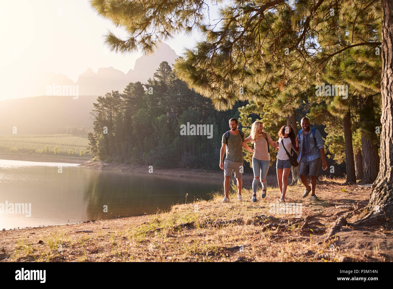 Group hikers enjoying forest hi-res stock photography and images - Alamy