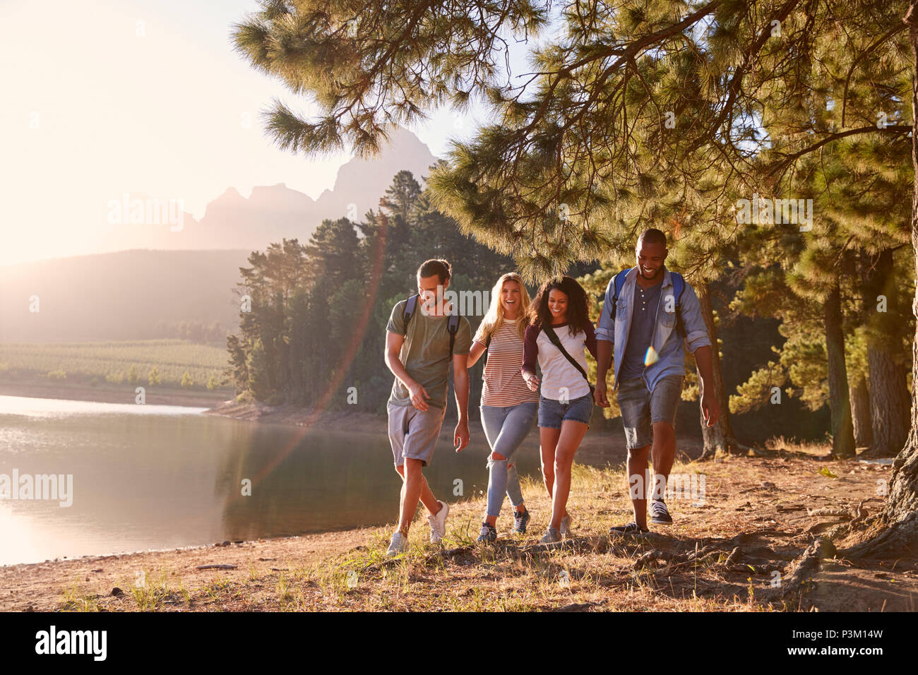 Group hikers enjoying forest hi-res stock photography and images - Alamy