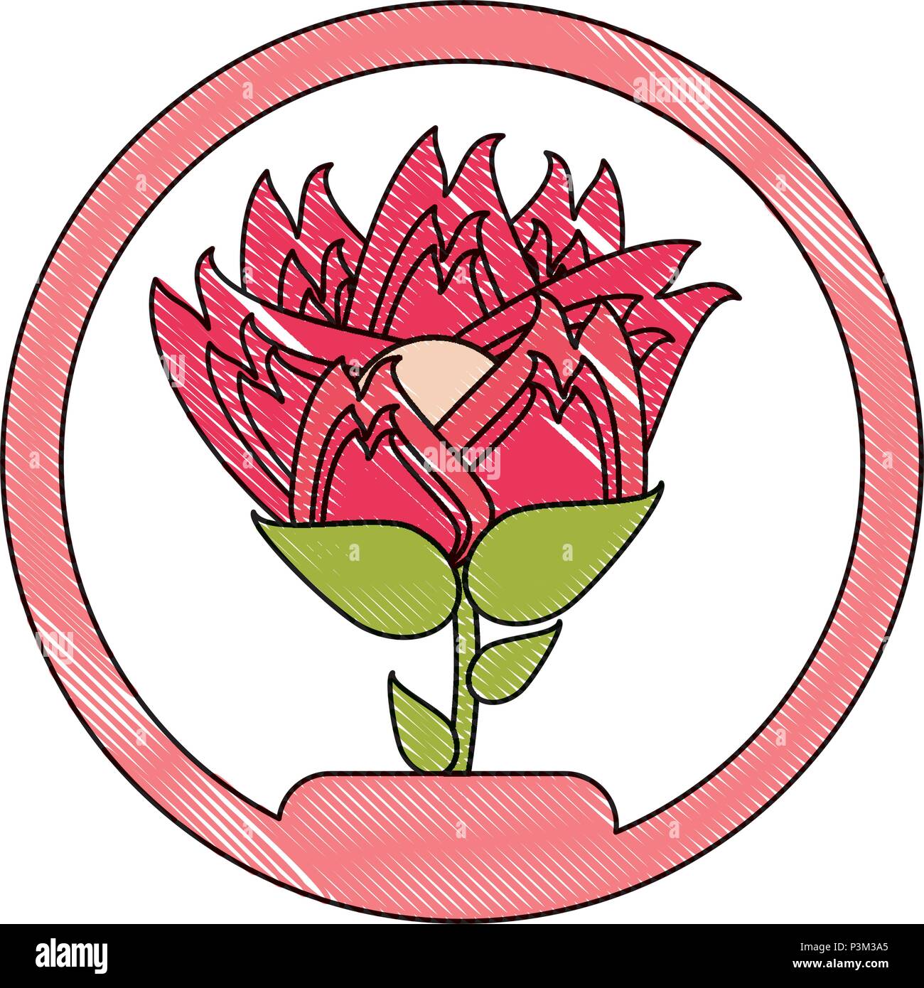 beautiful flower and decorative circular frame over white background ...