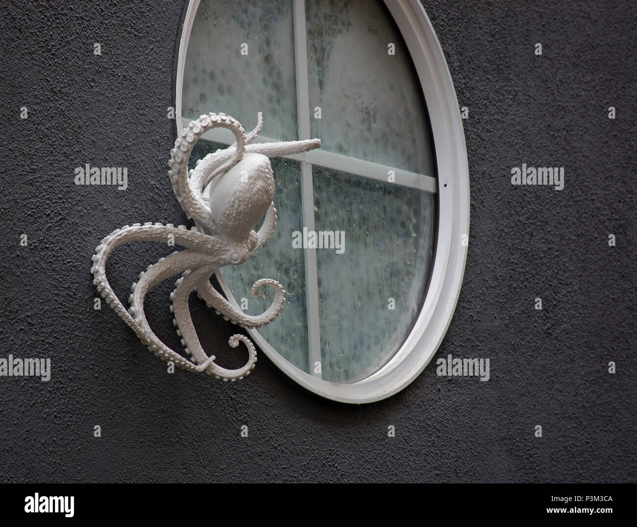 decorative octopus by window on wall Stock Photo - Alamy