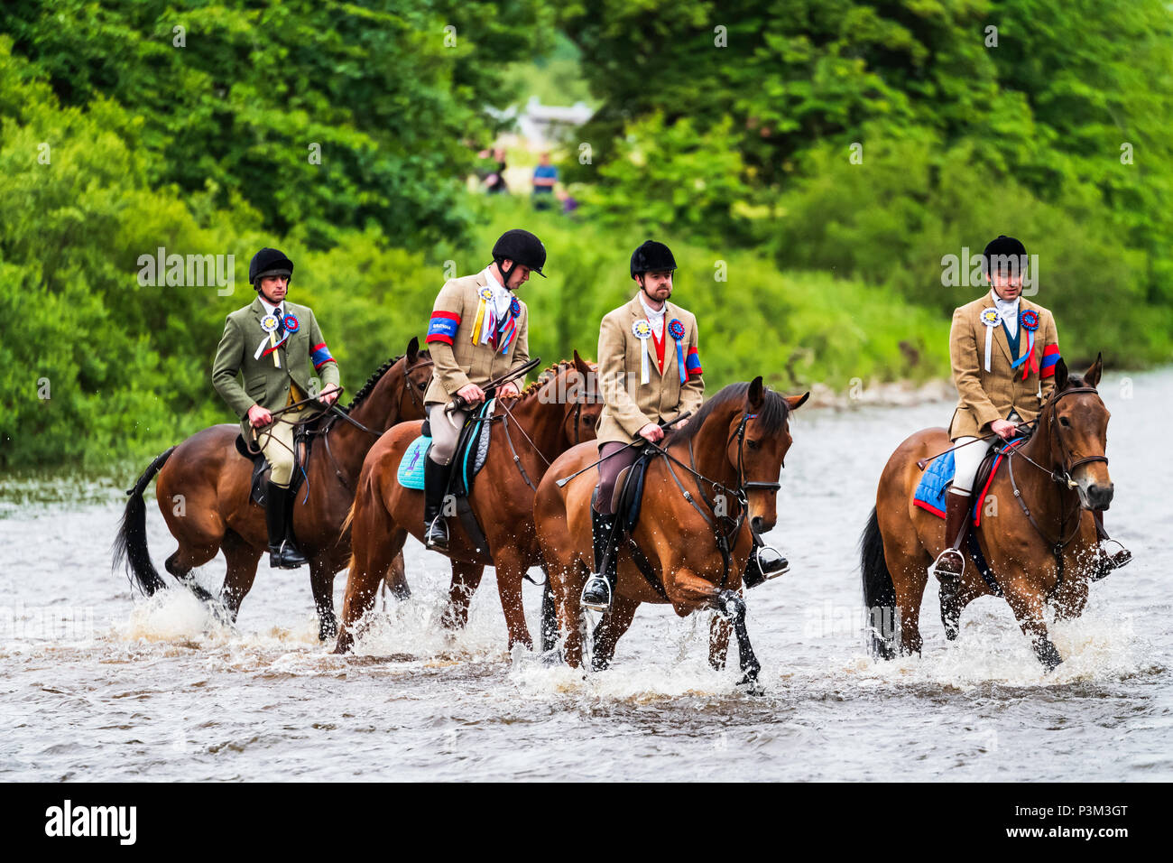 Hundred Horses High Resolution Stock Photography and Images - Alamy