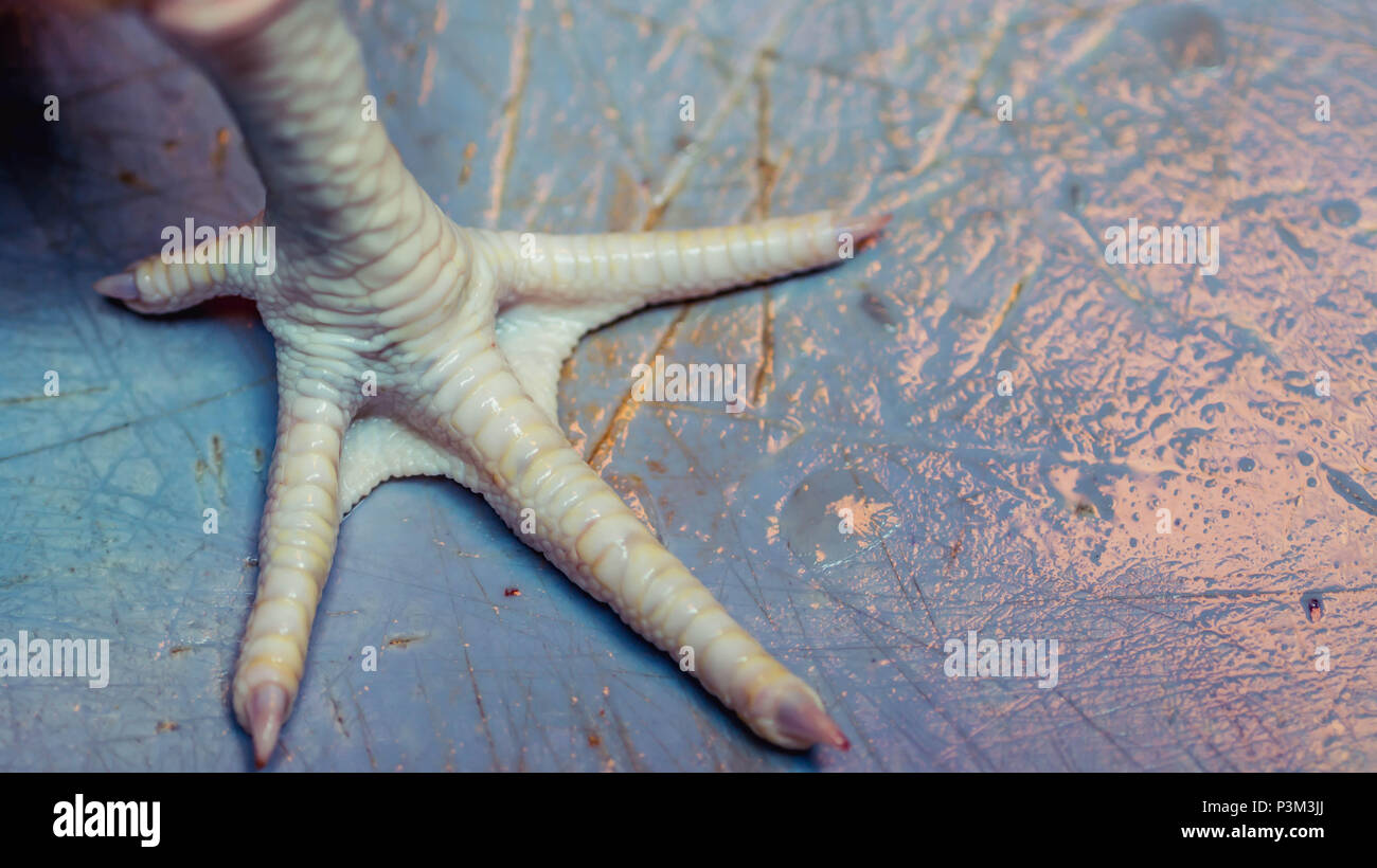 Chicken foot standing on cutting board Stock Photo - Alamy