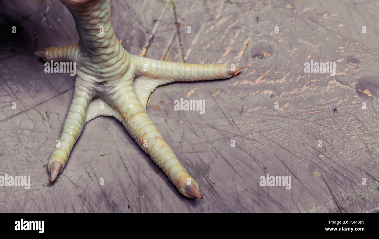 Chicken foot standing on cutting board Stock Photo - Alamy