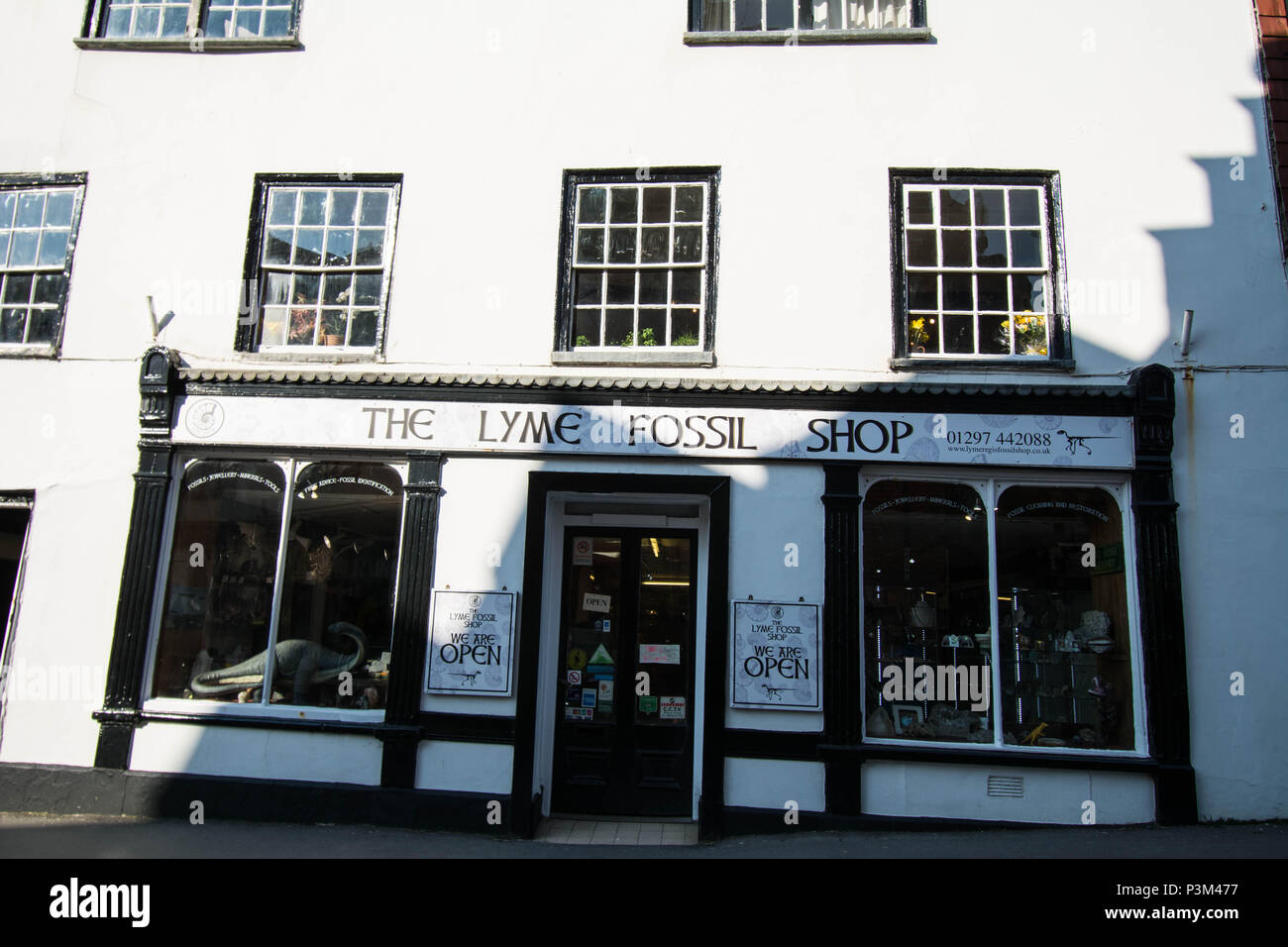 Rock and fossil shop hi-res stock photography and images - Alamy