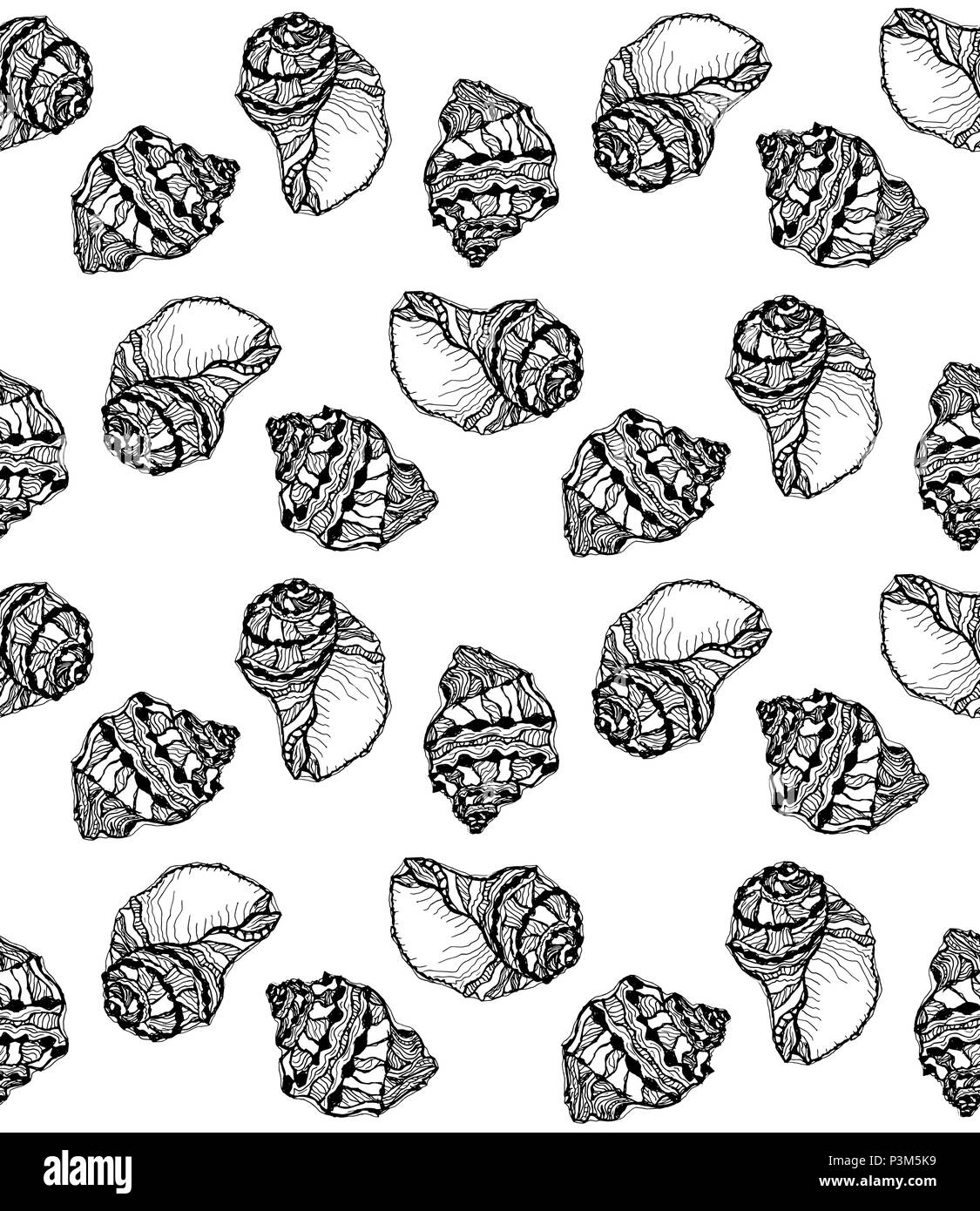 Vector seamless pattern from black seashell on white background. Hand ...